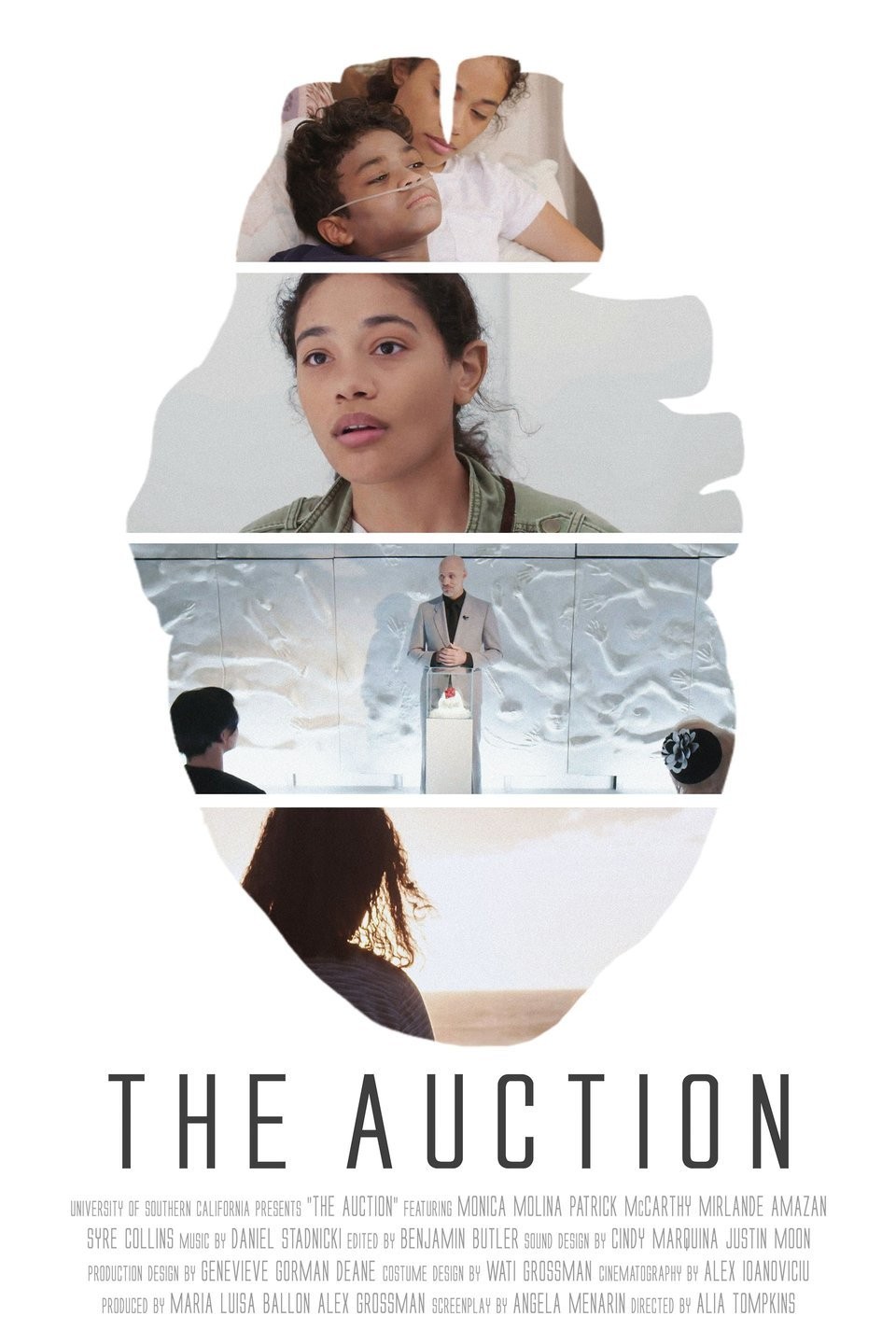 The Auction Pictures | Rotten Tomatoes