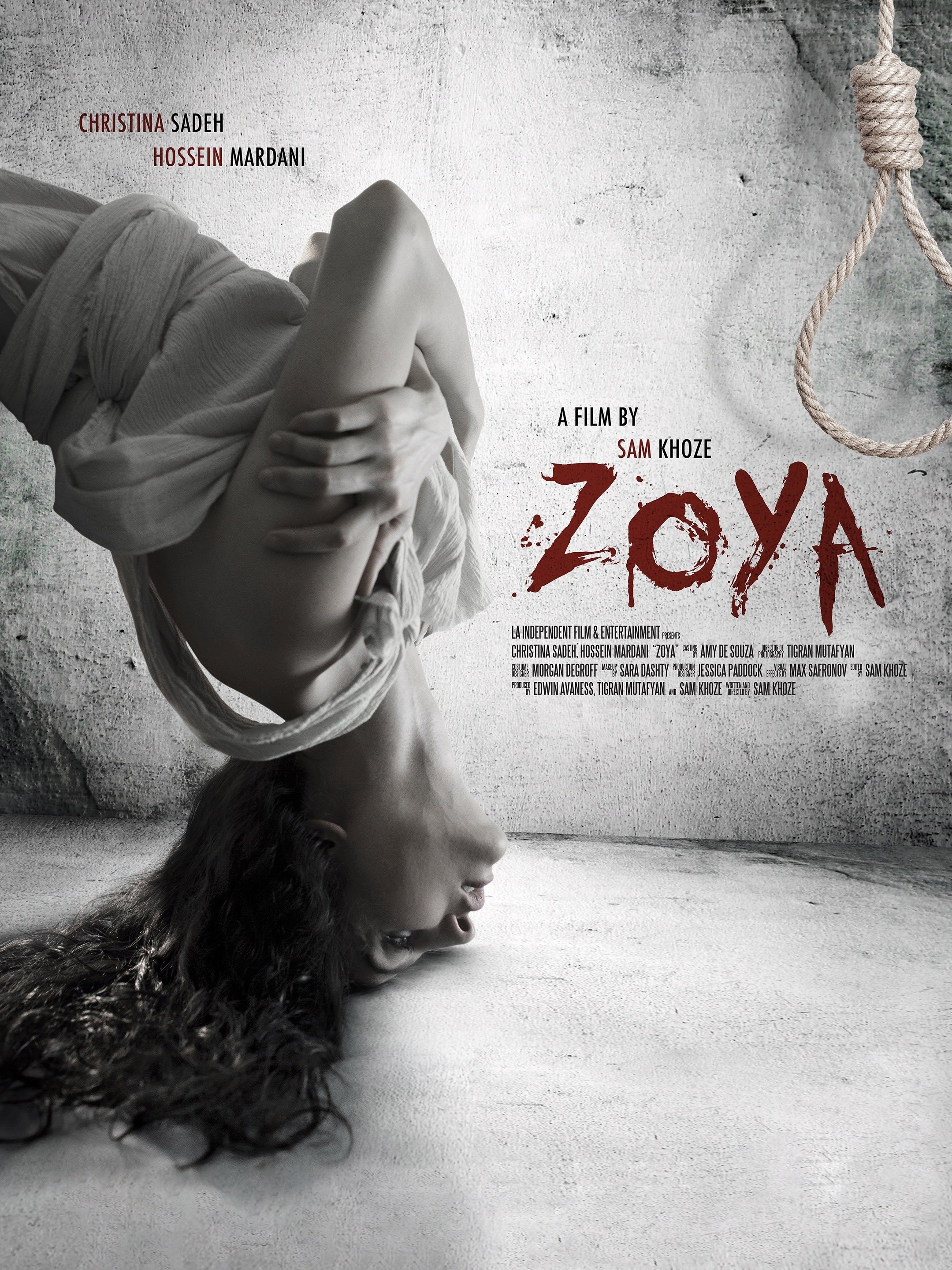 Zoya Pictures | Rotten Tomatoes