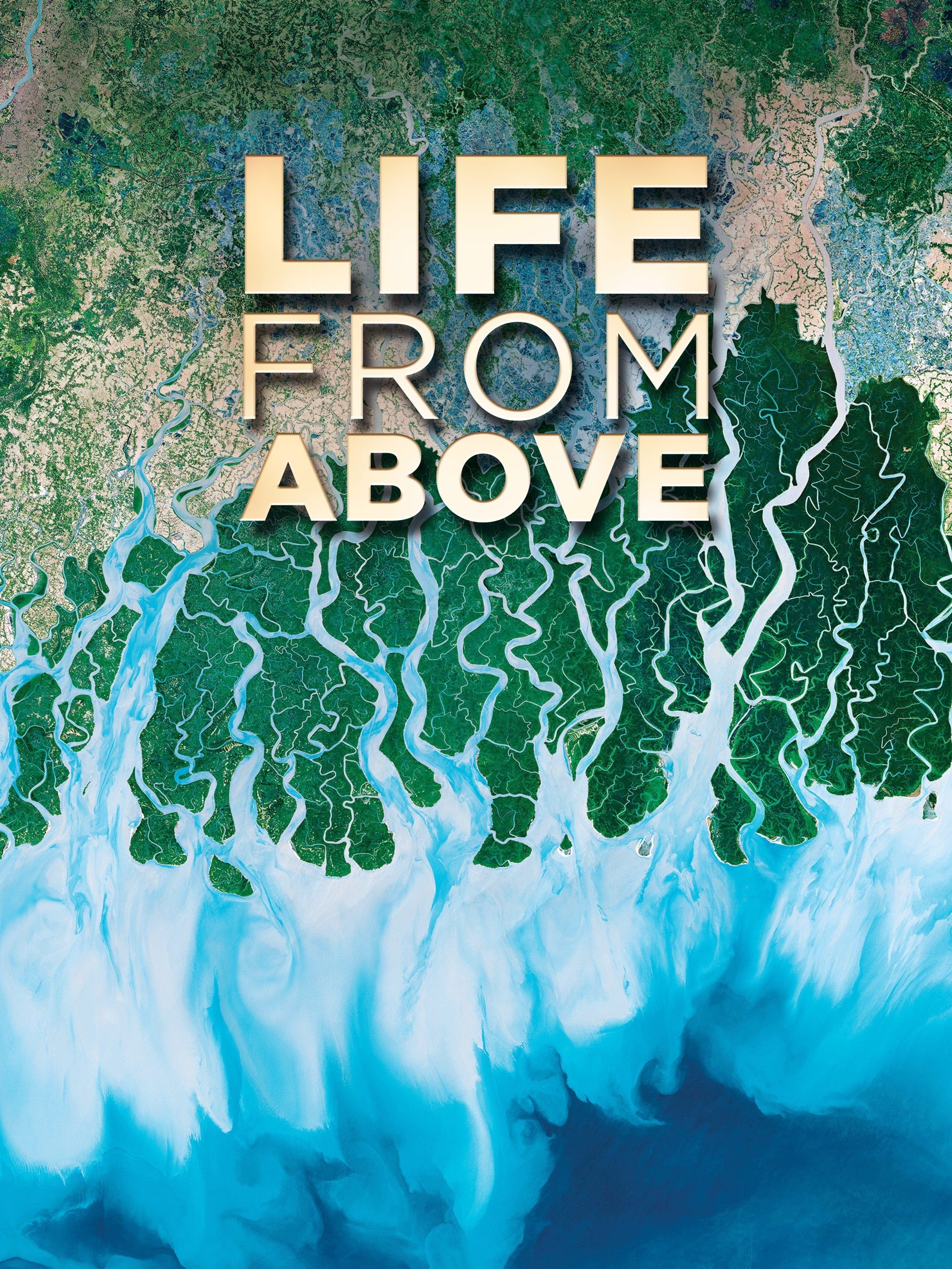 Life From Above Pictures | Rotten Tomatoes