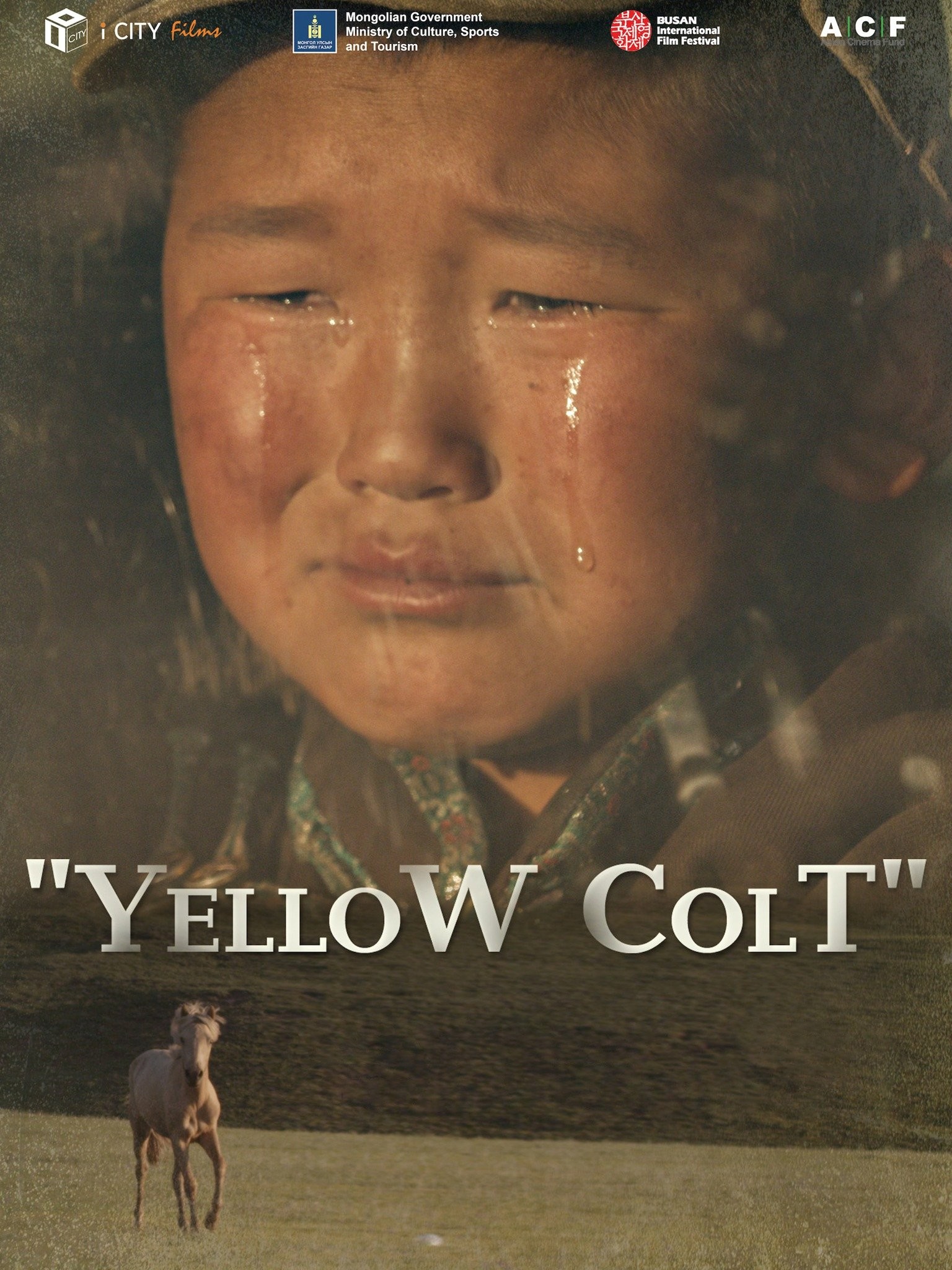 Yellow Colt Pictures | Rotten Tomatoes