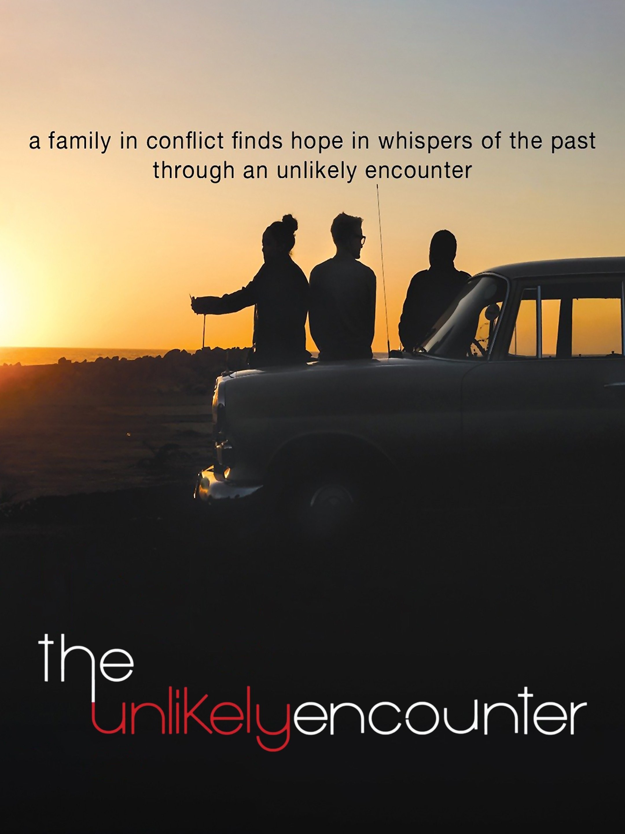 The Unlikely Encounter Pictures | Rotten Tomatoes