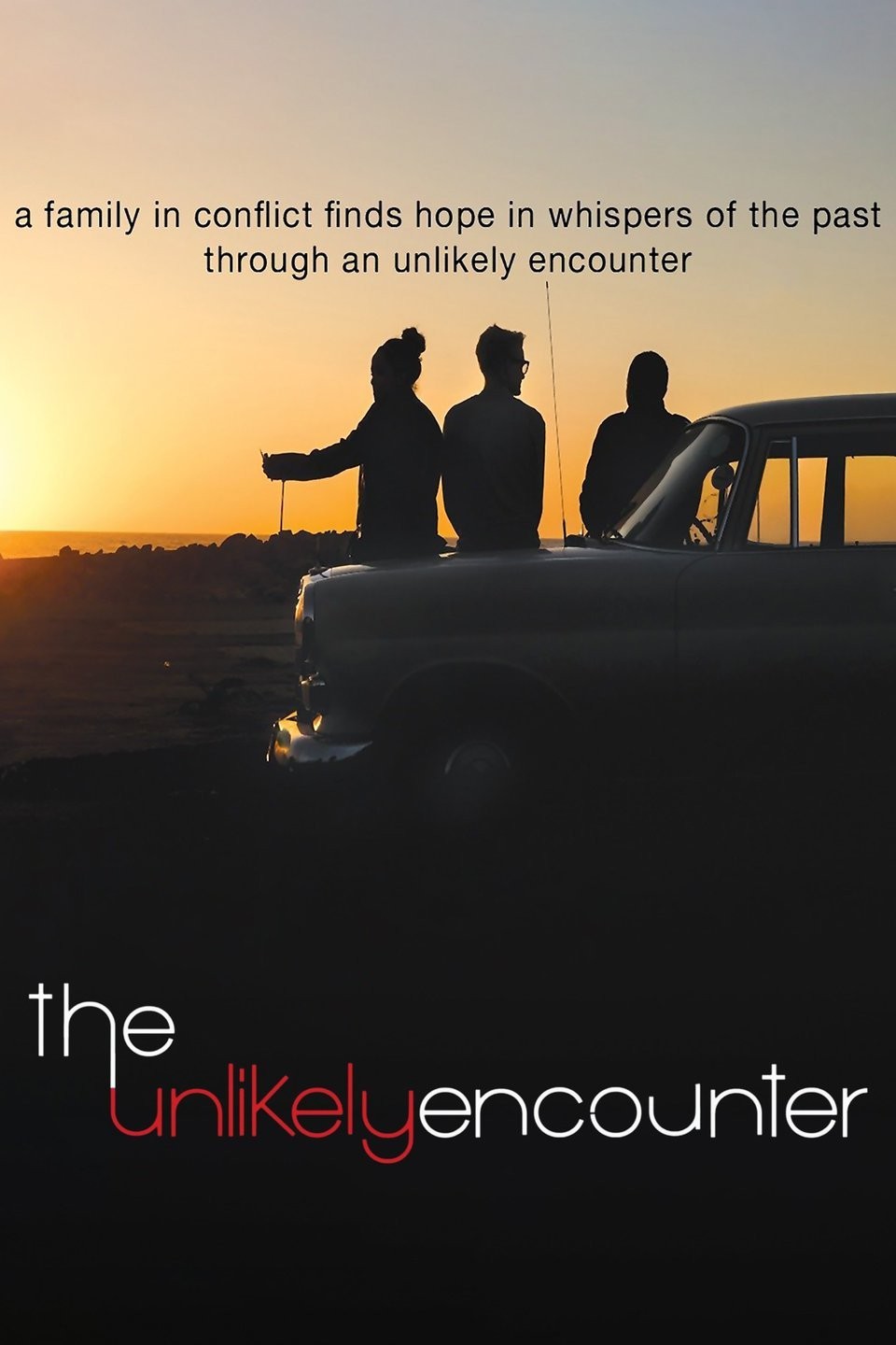 The Unlikely Encounter Pictures | Rotten Tomatoes