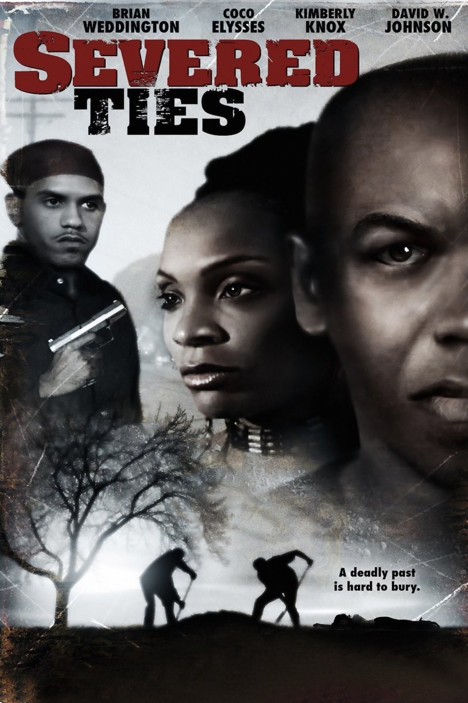 Severed Ties Pictures | Rotten Tomatoes