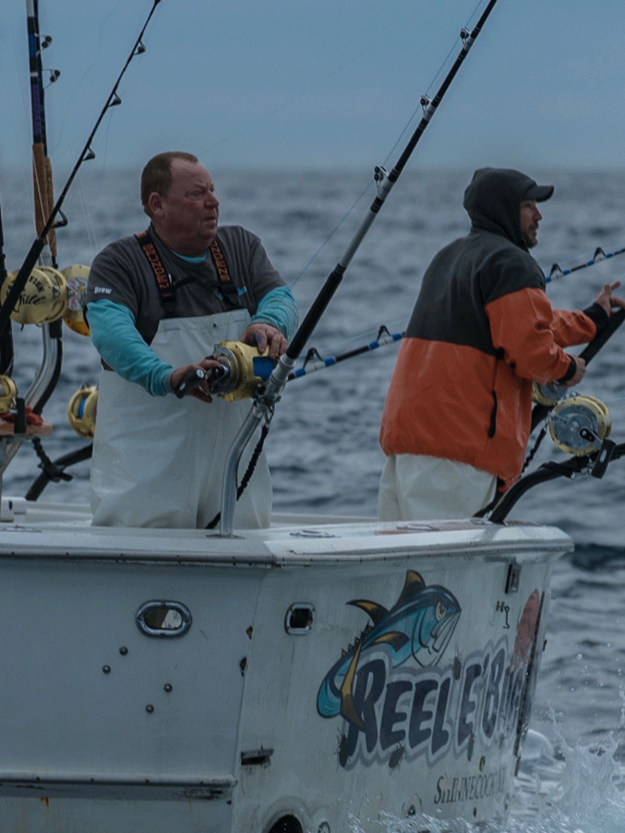 No Backing Down Pictures | Rotten Tomatoes