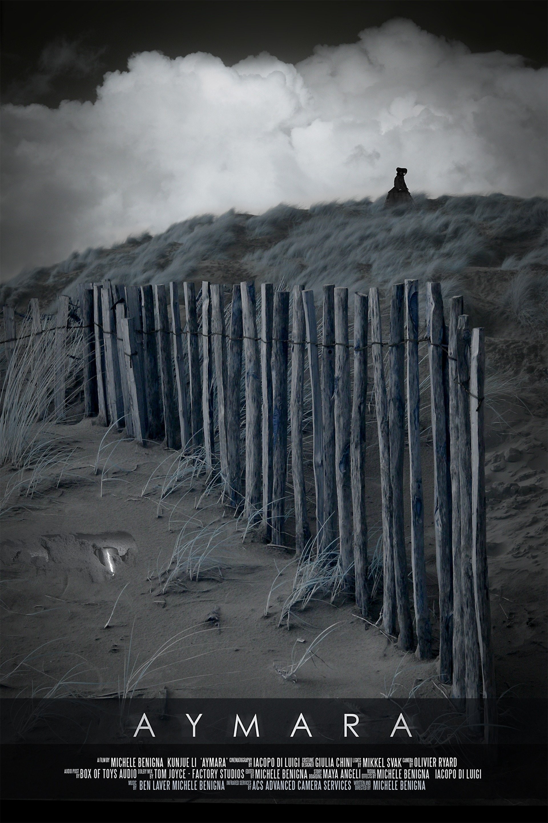 Aymara Pictures | Rotten Tomatoes