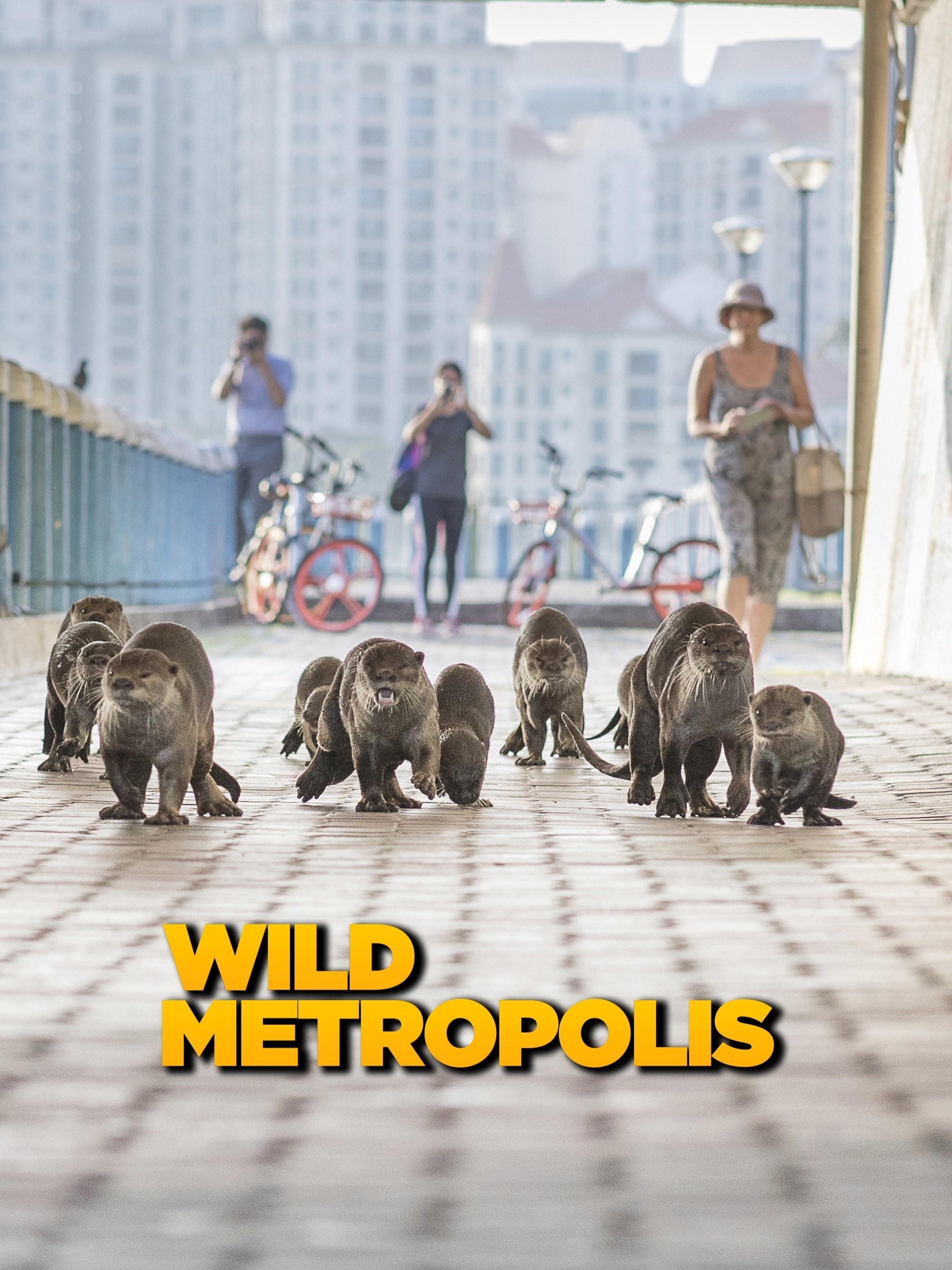 Wild Metropolis Season 1 | Rotten Tomatoes