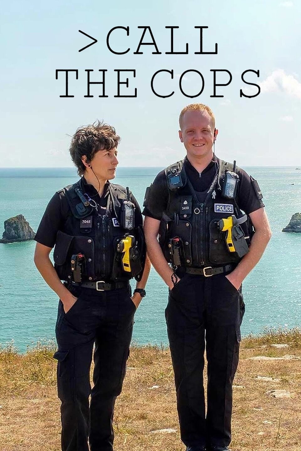 Call the Cops | Rotten Tomatoes