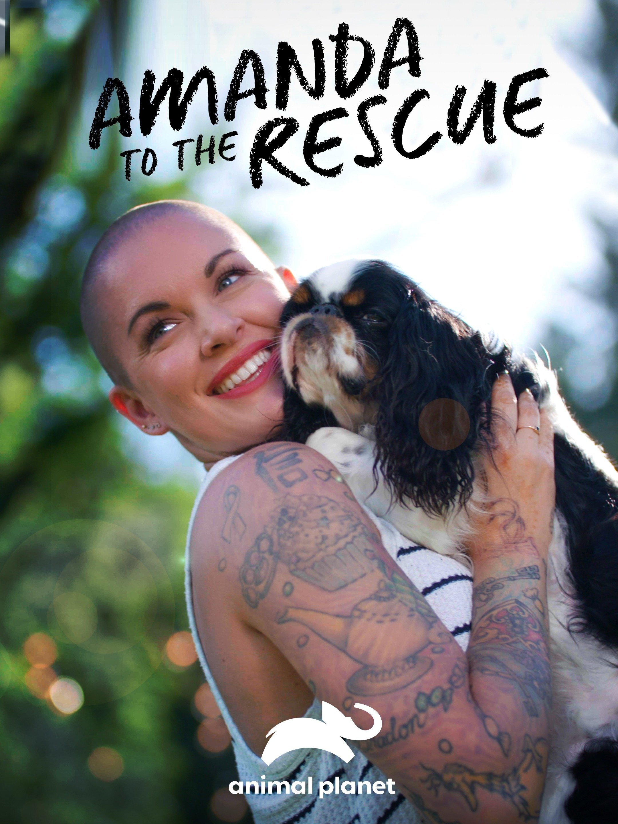 Amanda to the Rescue: Season 2 Pictures | Rotten Tomatoes