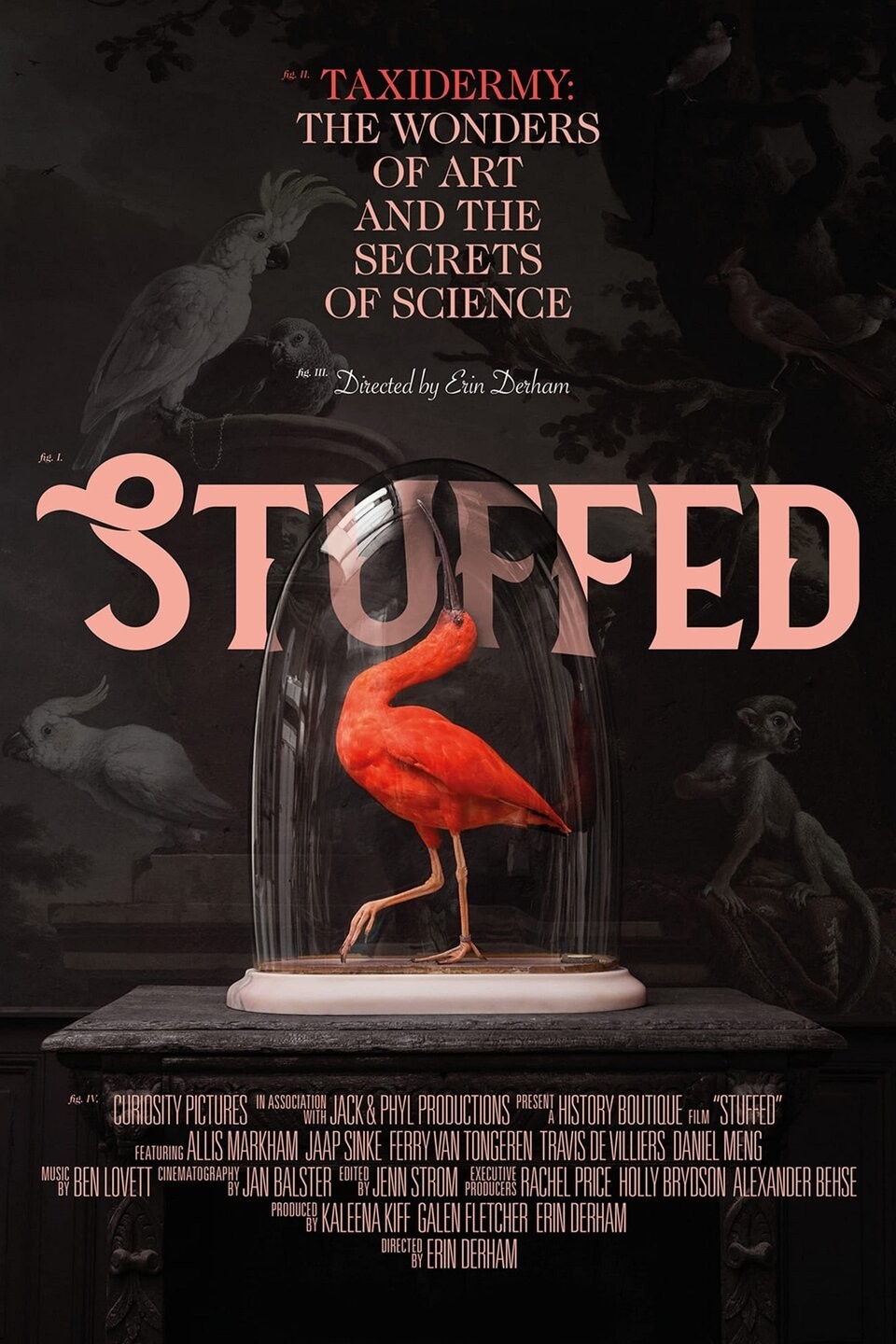 Stuffed | Rotten Tomatoes