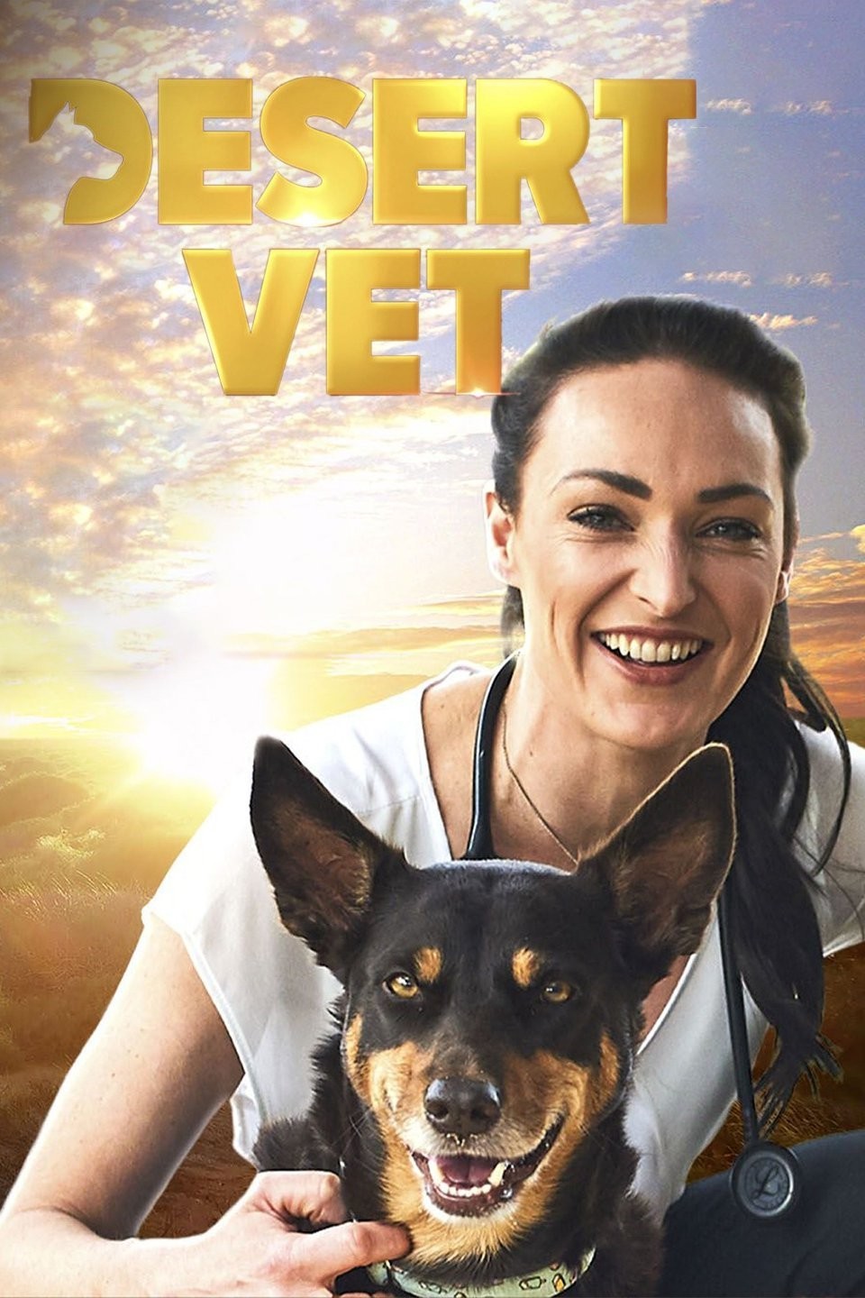 Desert Vet | Rotten Tomatoes