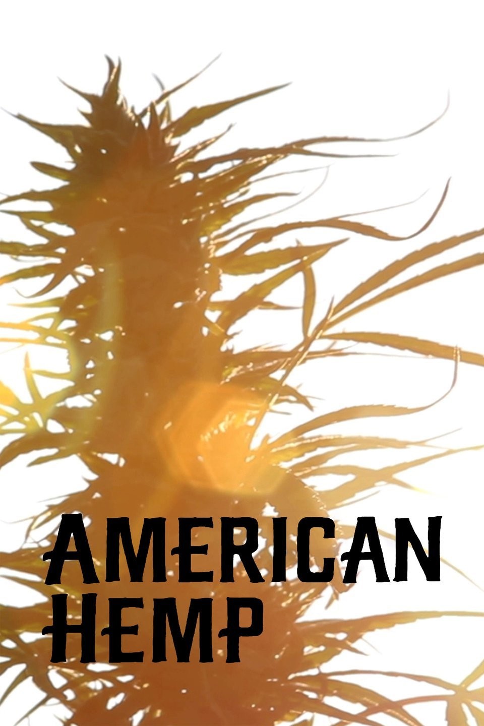 American Hemp Pictures | Rotten Tomatoes