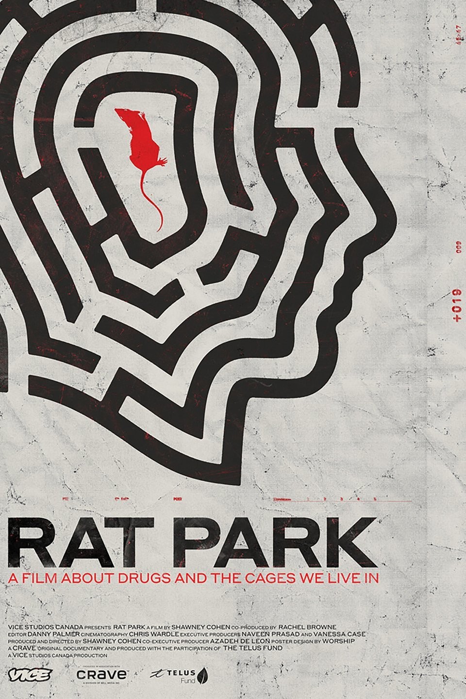 Rat Park | Rotten Tomatoes