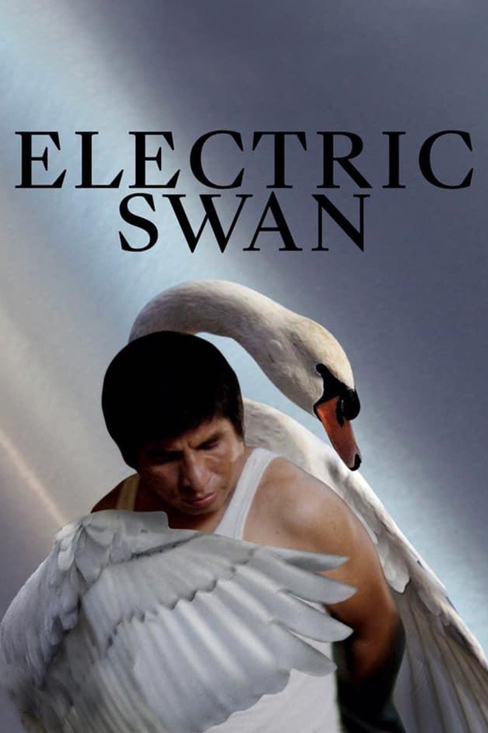 Electric Swan Pictures | Rotten Tomatoes