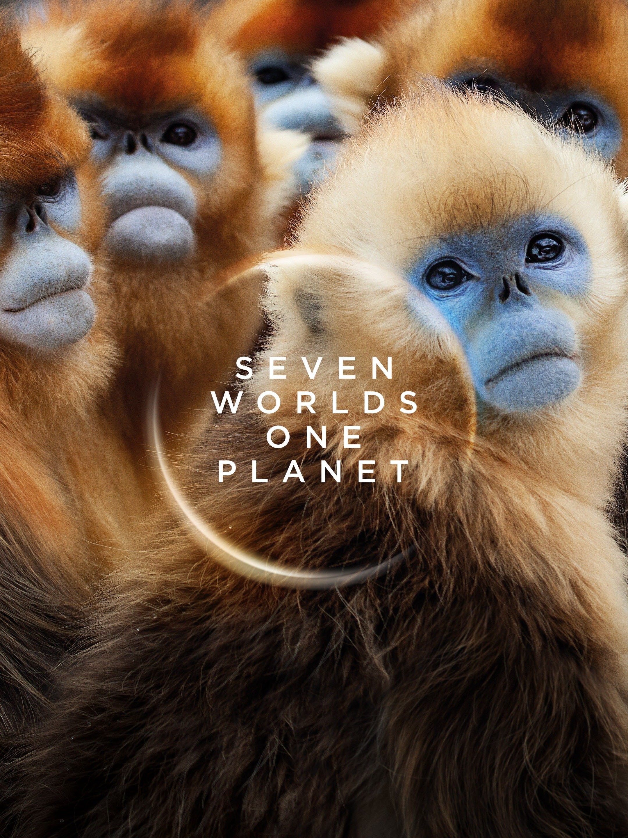 Seven Worlds, One Planet Season 1 | Rotten Tomatoes