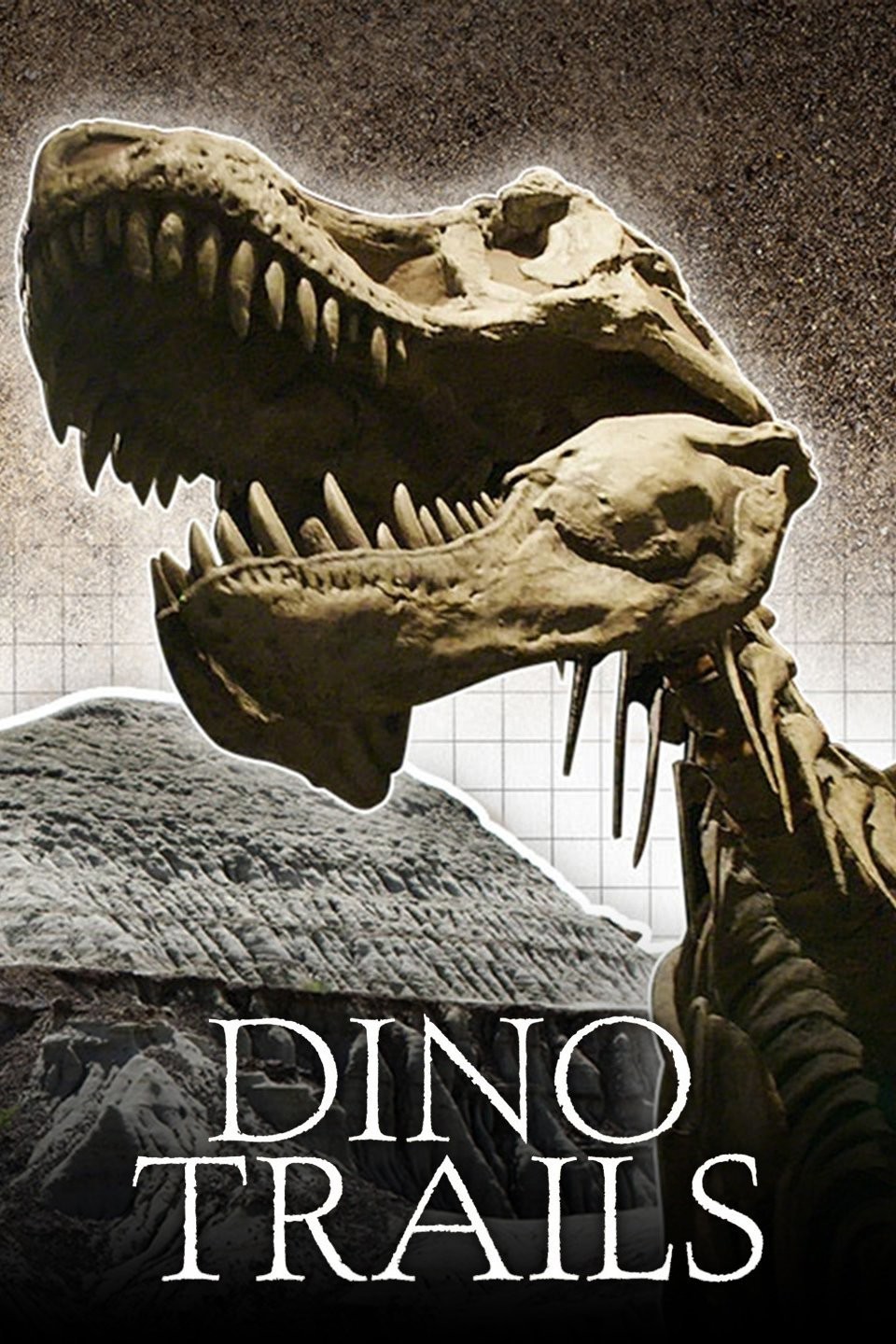 The Dinosaur Expert Pictures | Rotten Tomatoes