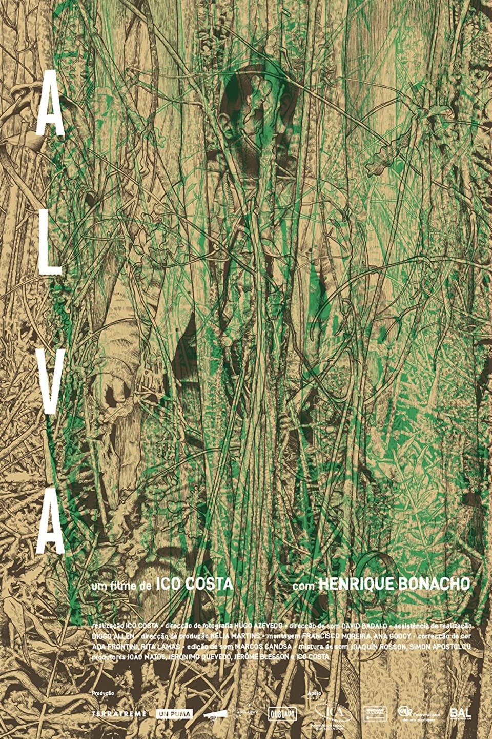 Alva | Rotten Tomatoes