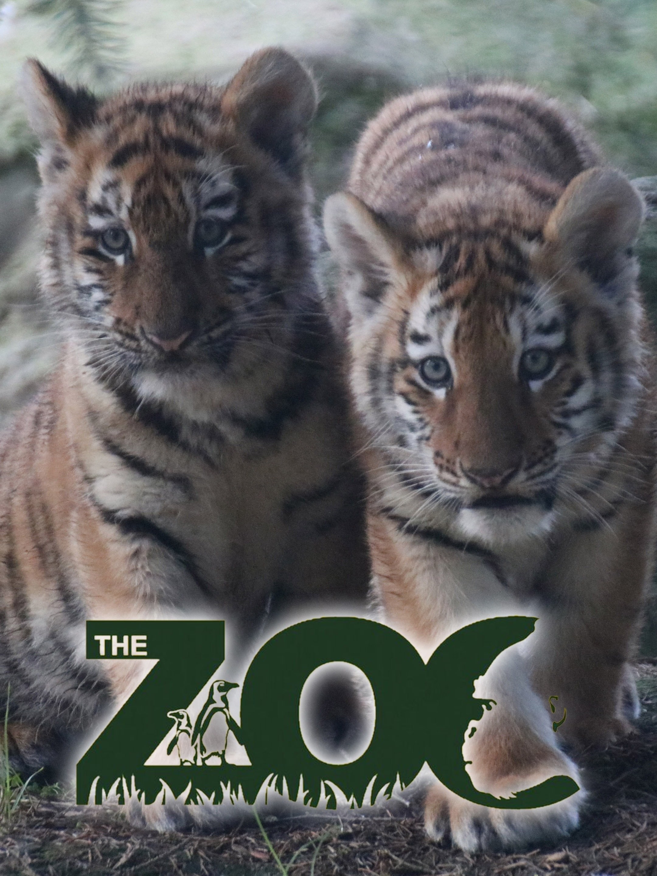 The Zoo: Season 9 Pictures | Rotten Tomatoes