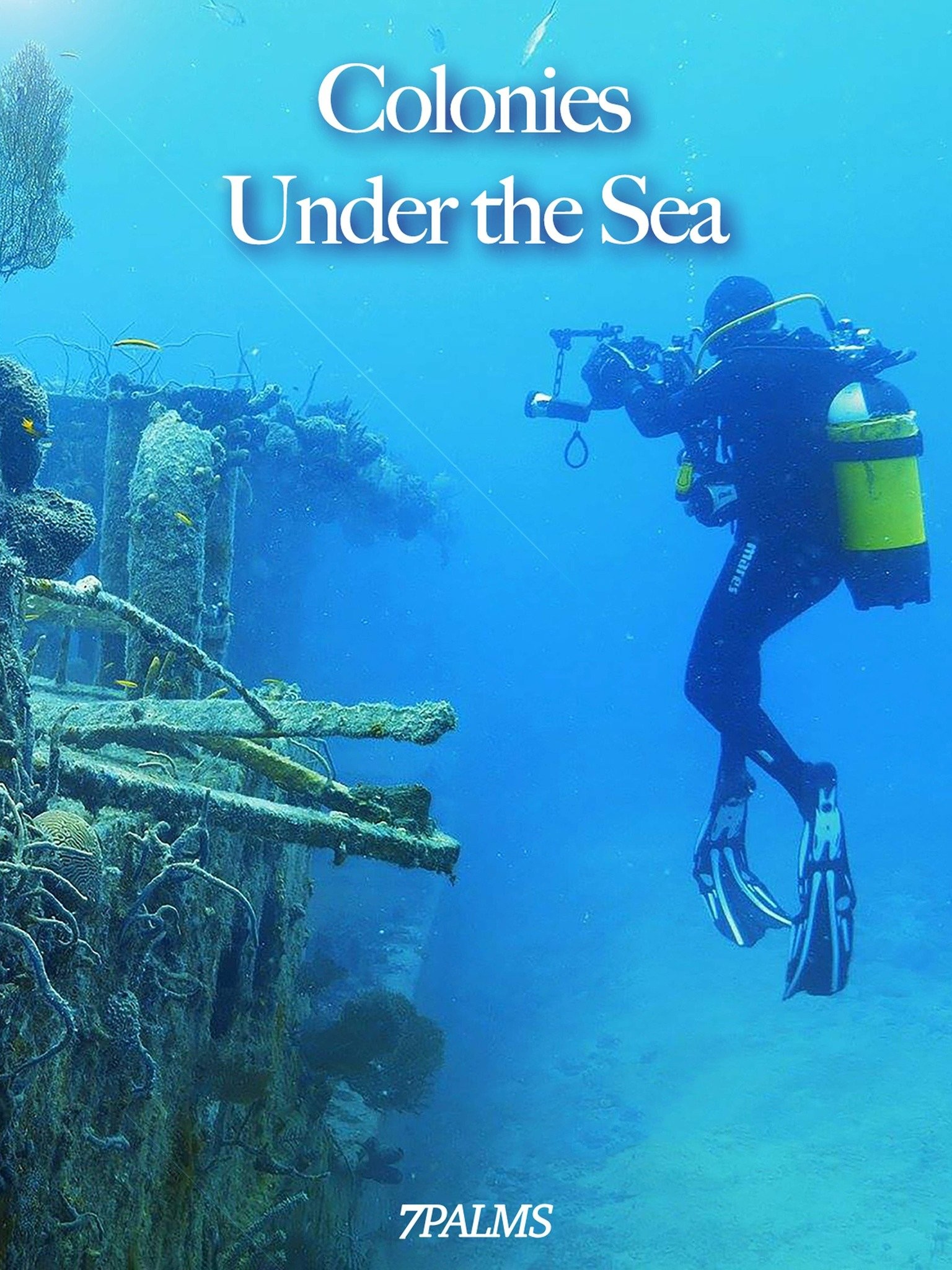 Colonies Under the Sea Pictures | Rotten Tomatoes