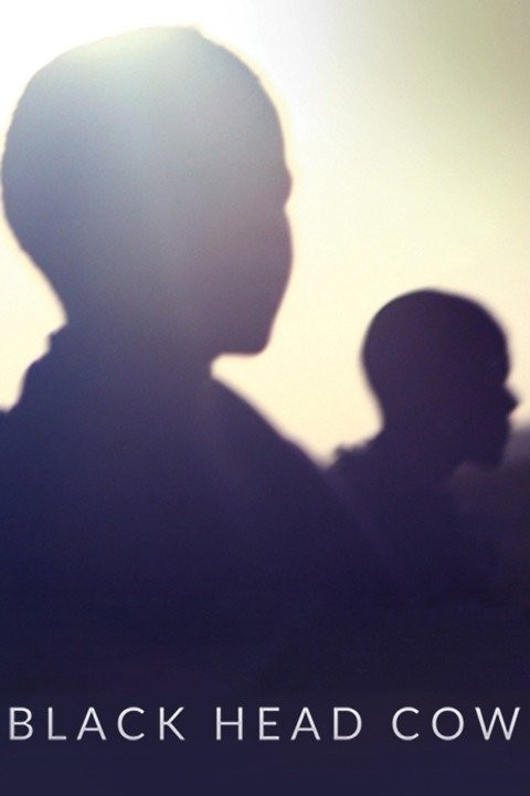 Black Head Cow Pictures | Rotten Tomatoes