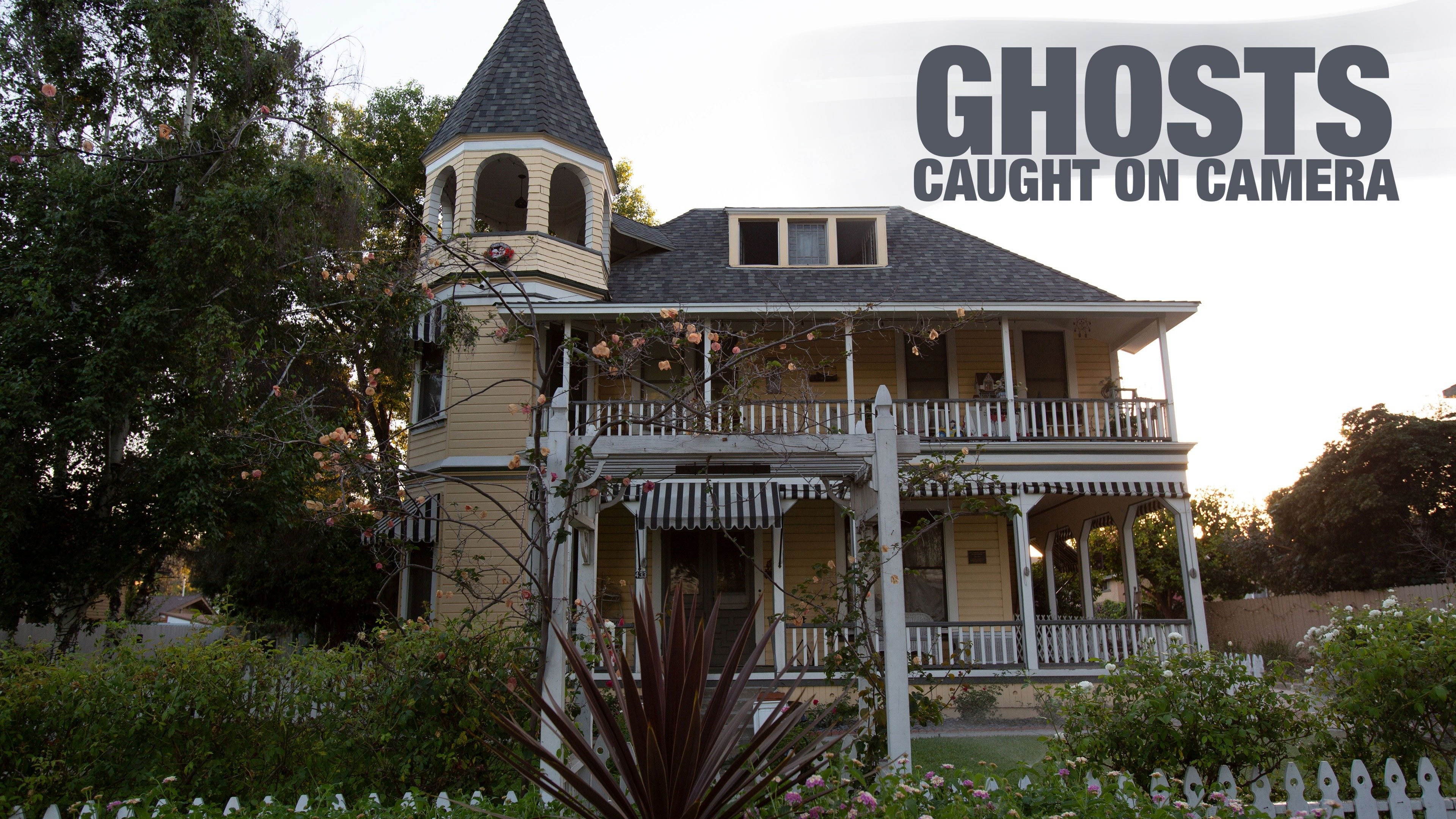 Ghosts Caught In Pictures