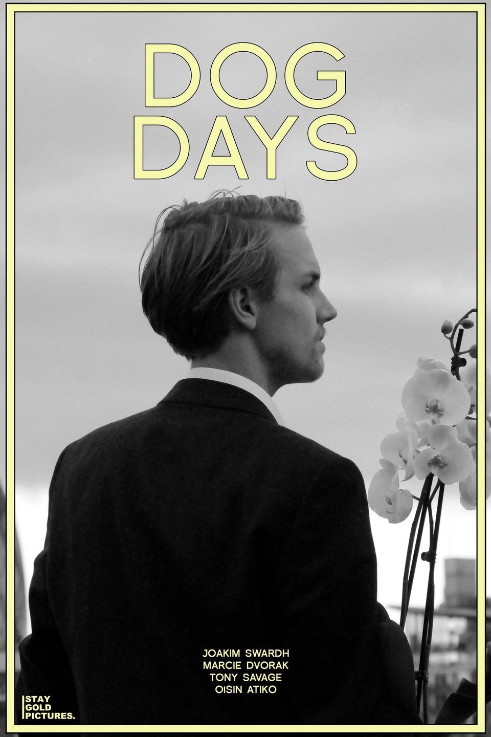 Dog Days | Rotten Tomatoes