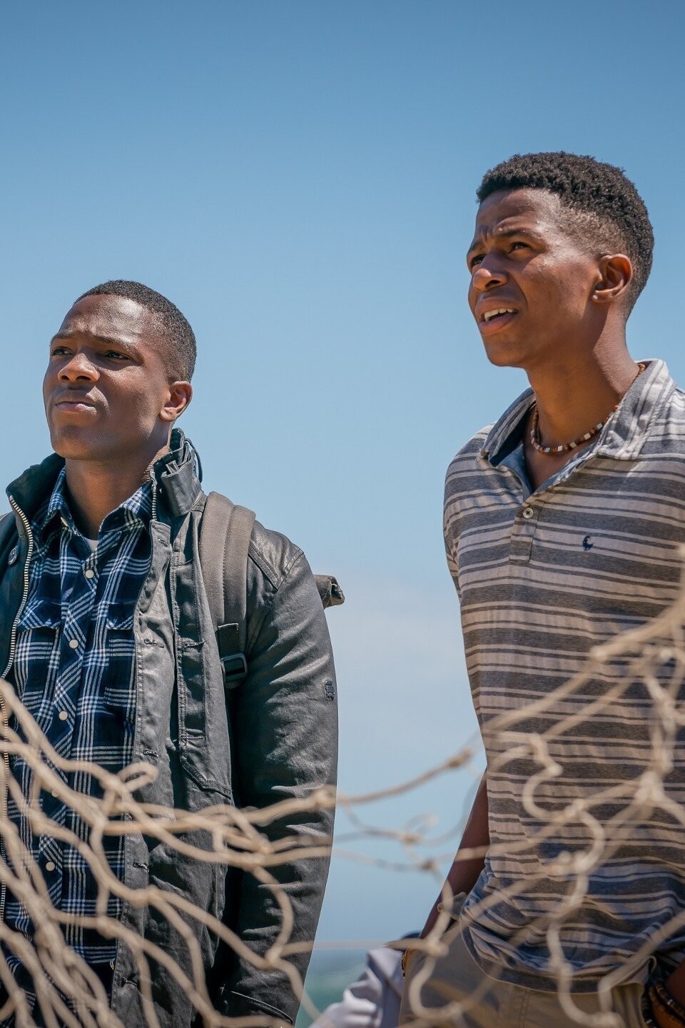 Praxeus Pictures | Rotten Tomatoes