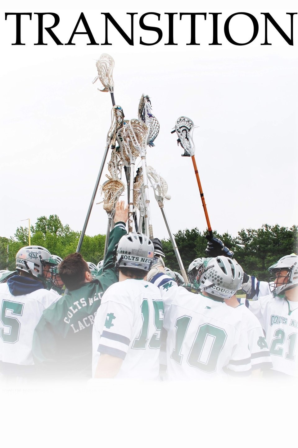 Transition | Rotten Tomatoes