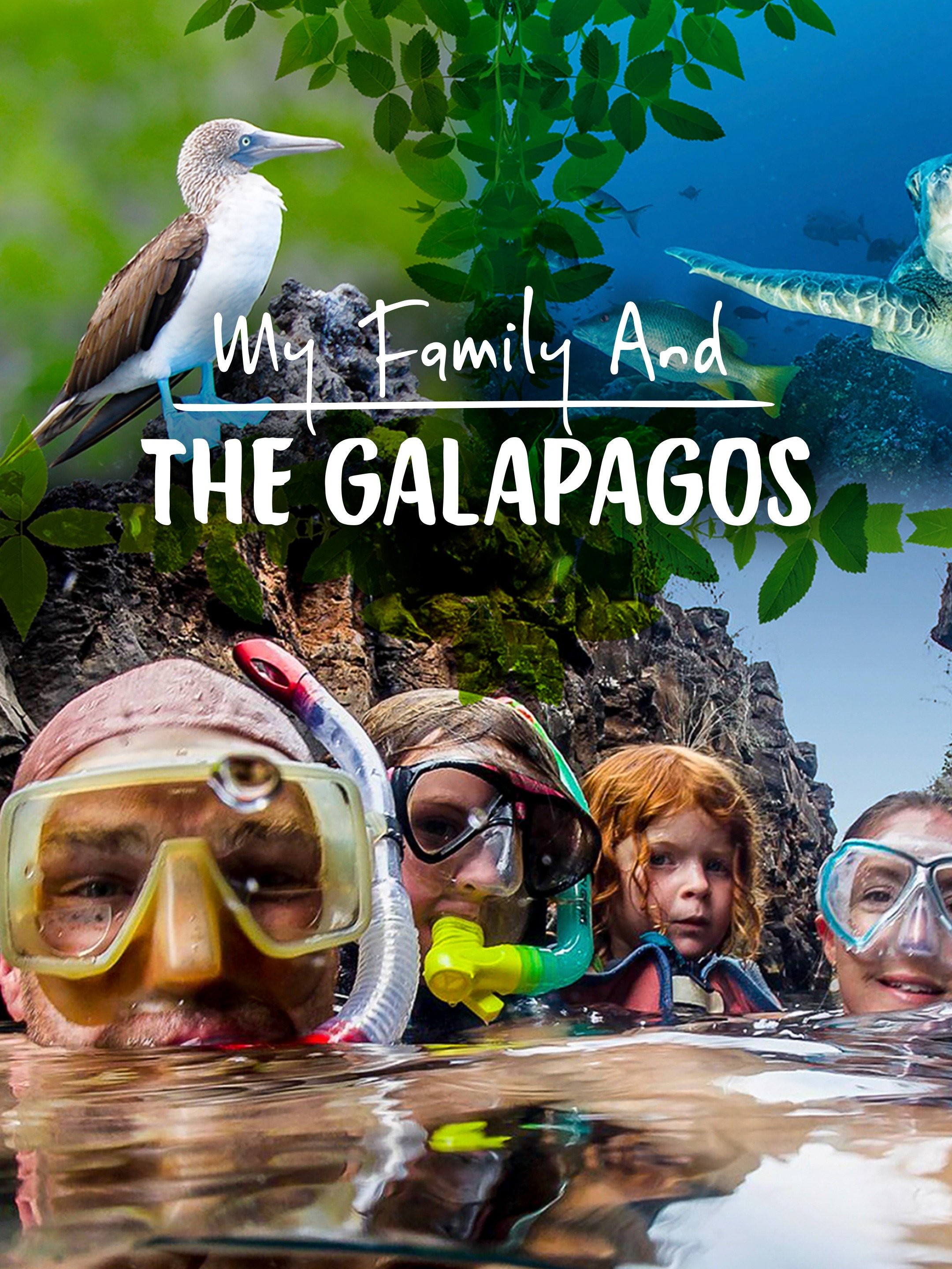 My Family and the Galapagos Season 1 | Rotten Tomatoes