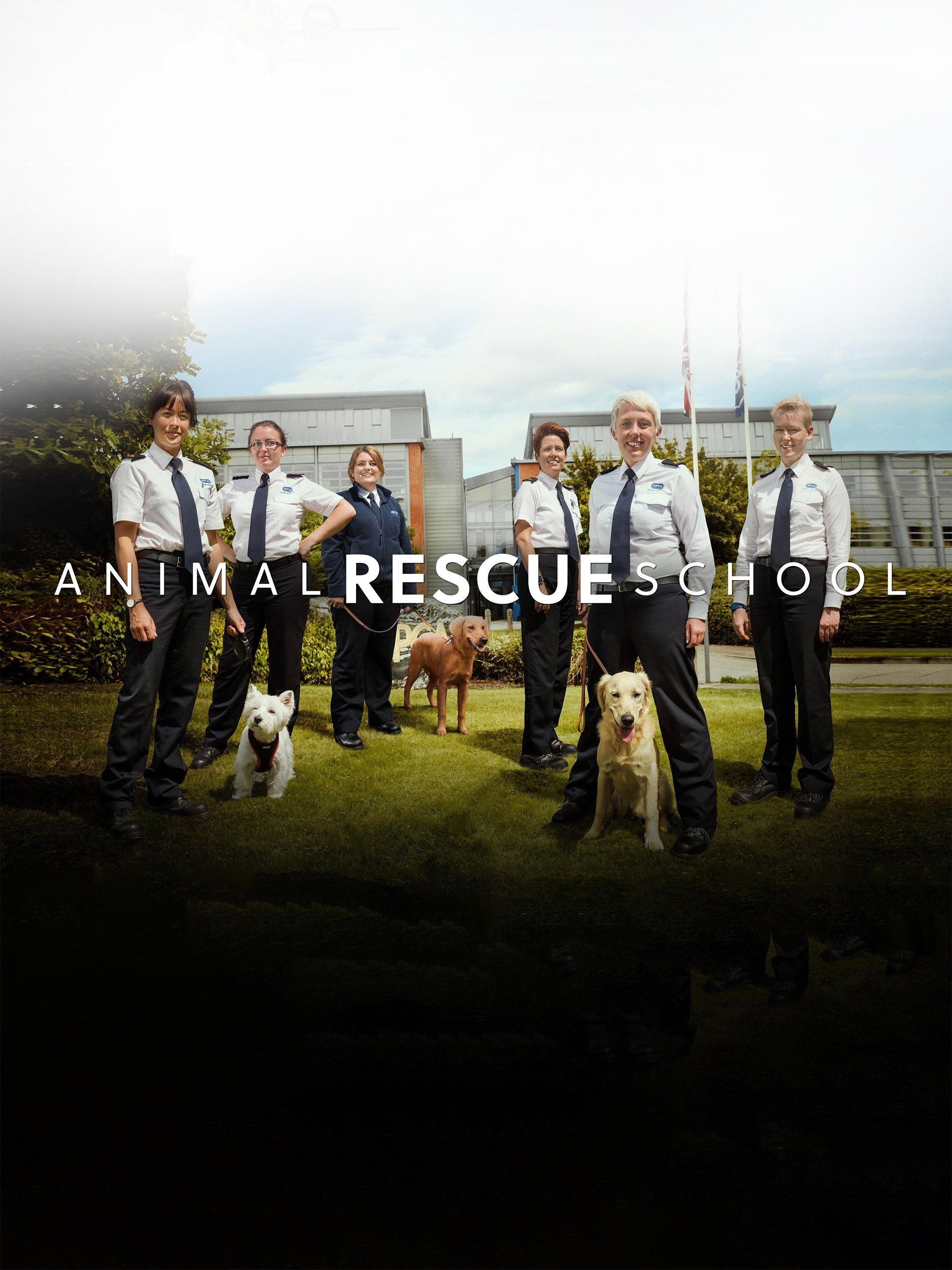 Animal Rescue School Pictures | Rotten Tomatoes