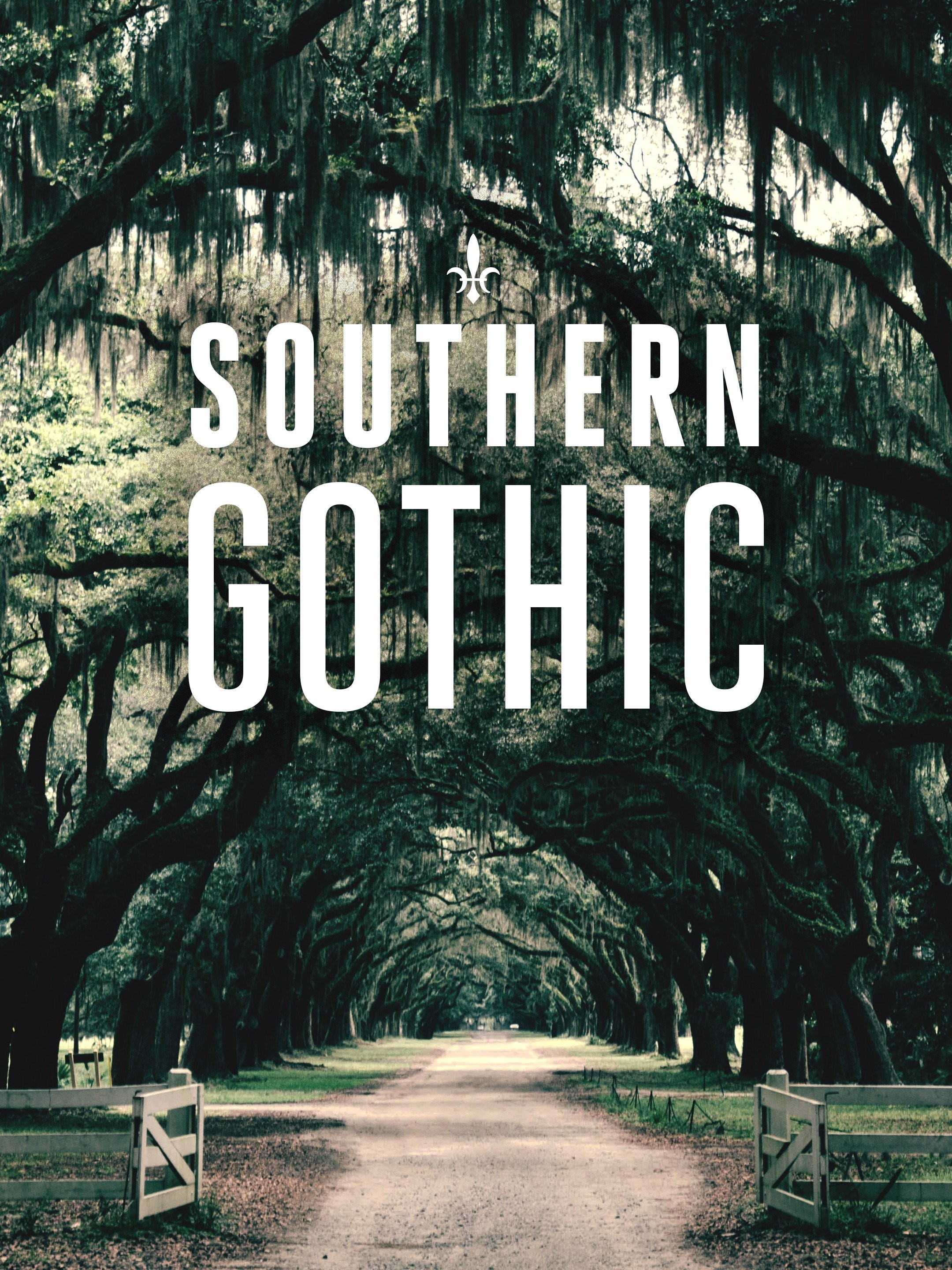 Southern Gothic | Rotten Tomatoes