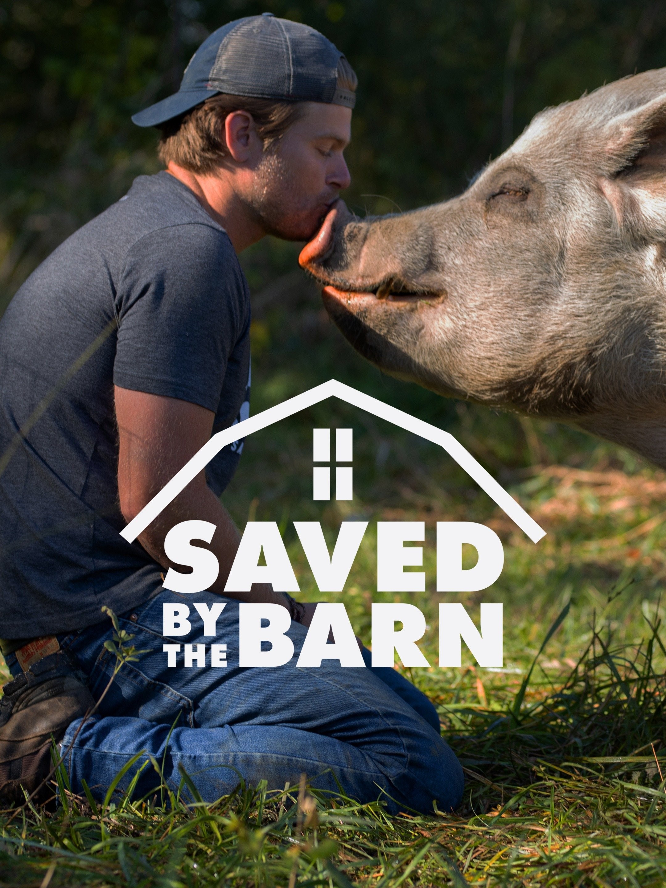 Saved By The Barn: Season 1 Pictures | Rotten Tomatoes