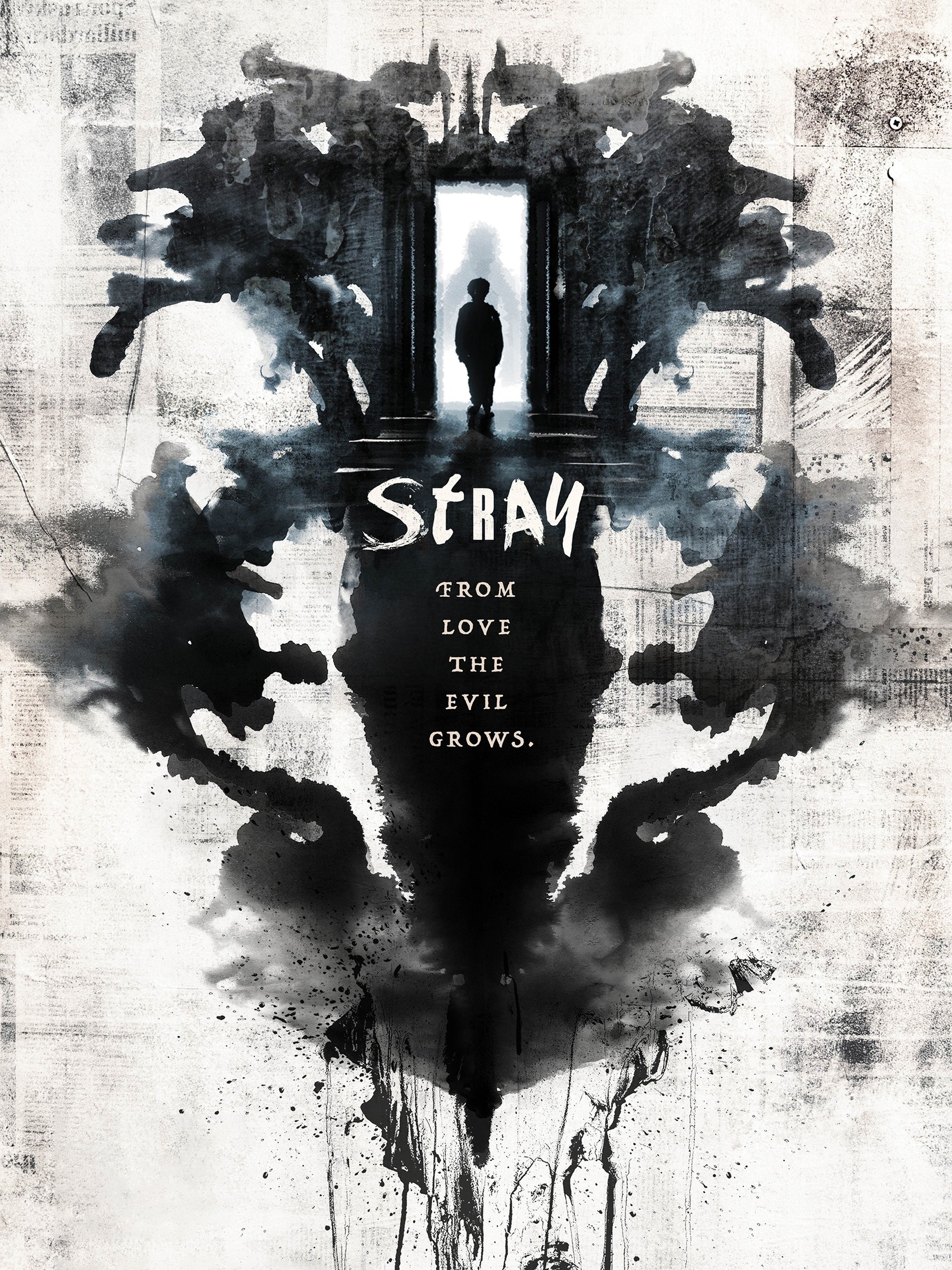 Stray Pictures | Rotten Tomatoes