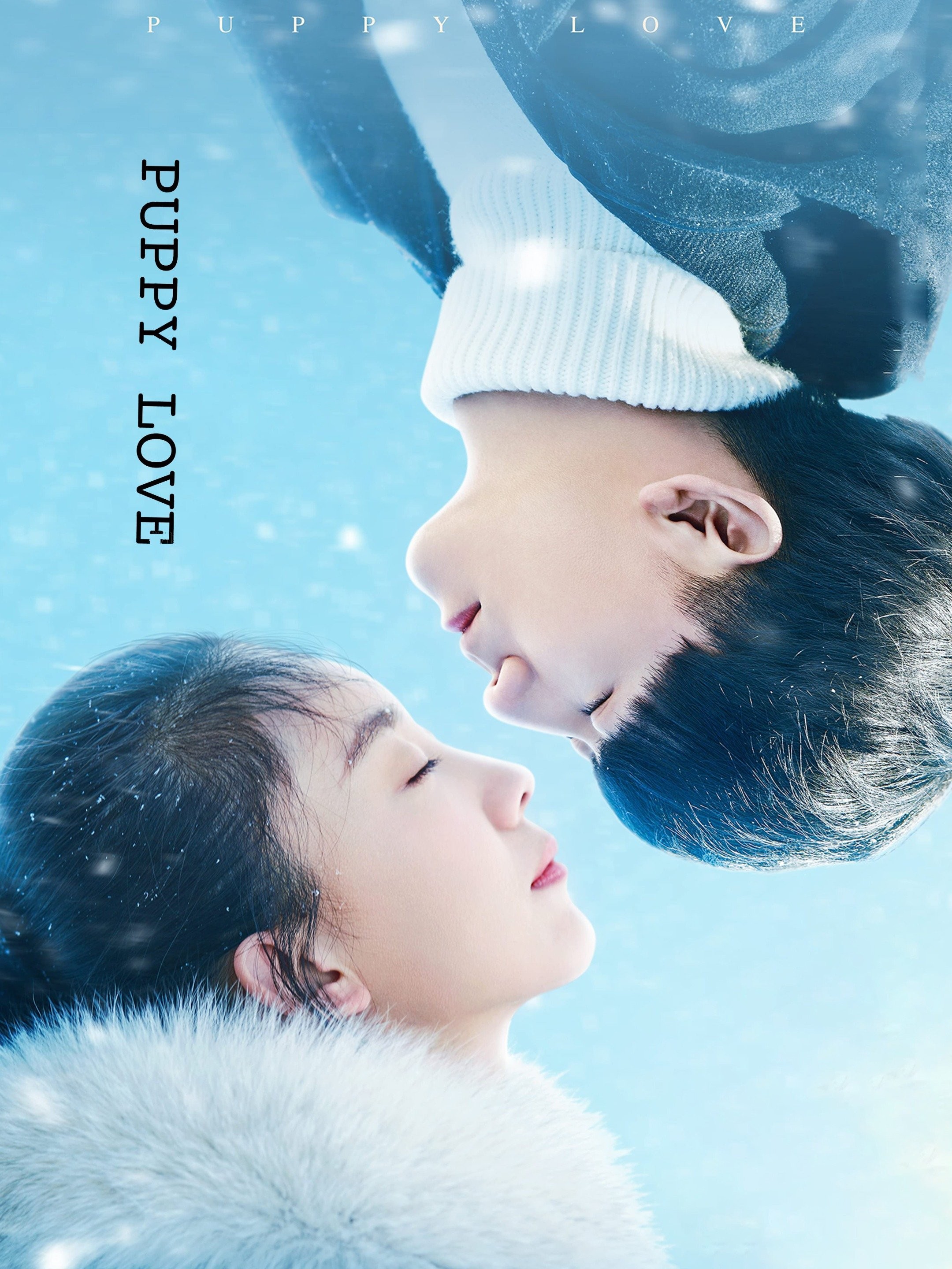 Puppy Love Pictures | Rotten Tomatoes