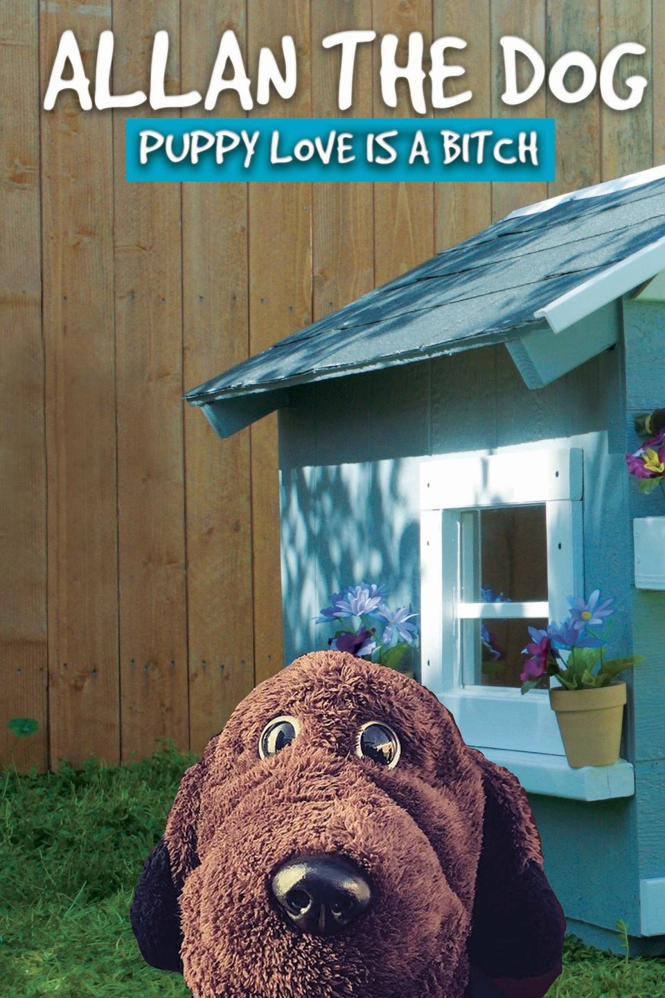 Allan the Dog | Rotten Tomatoes