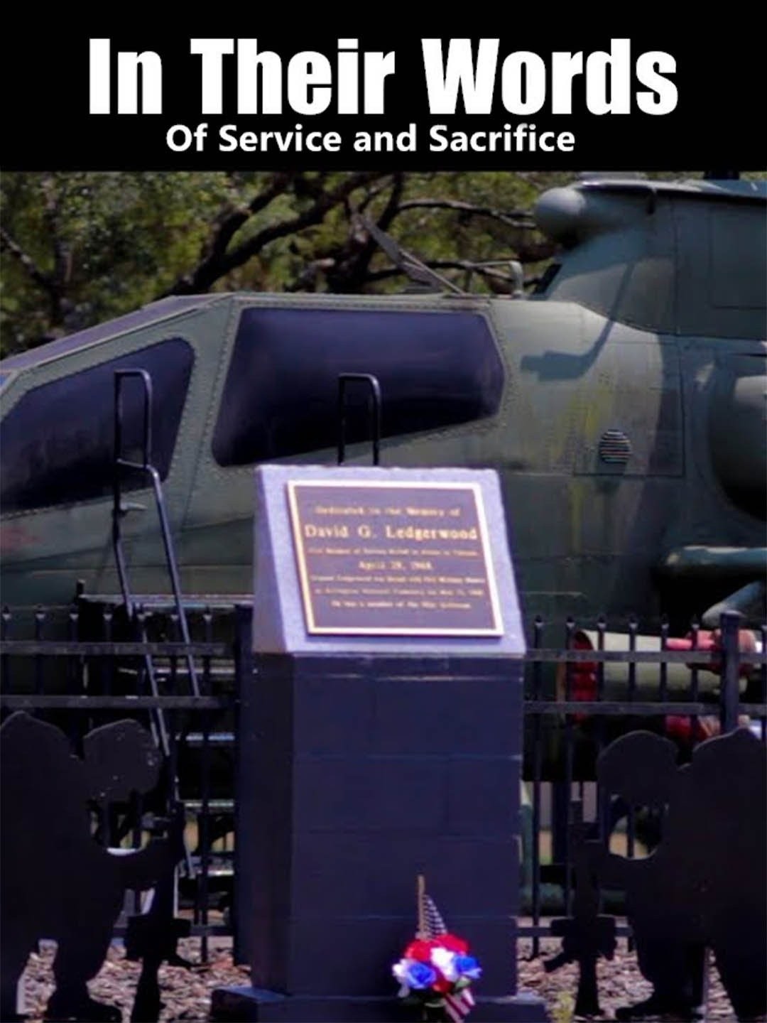 In Their Words: Of Service and Sacrifice Pictures | Rotten Tomatoes