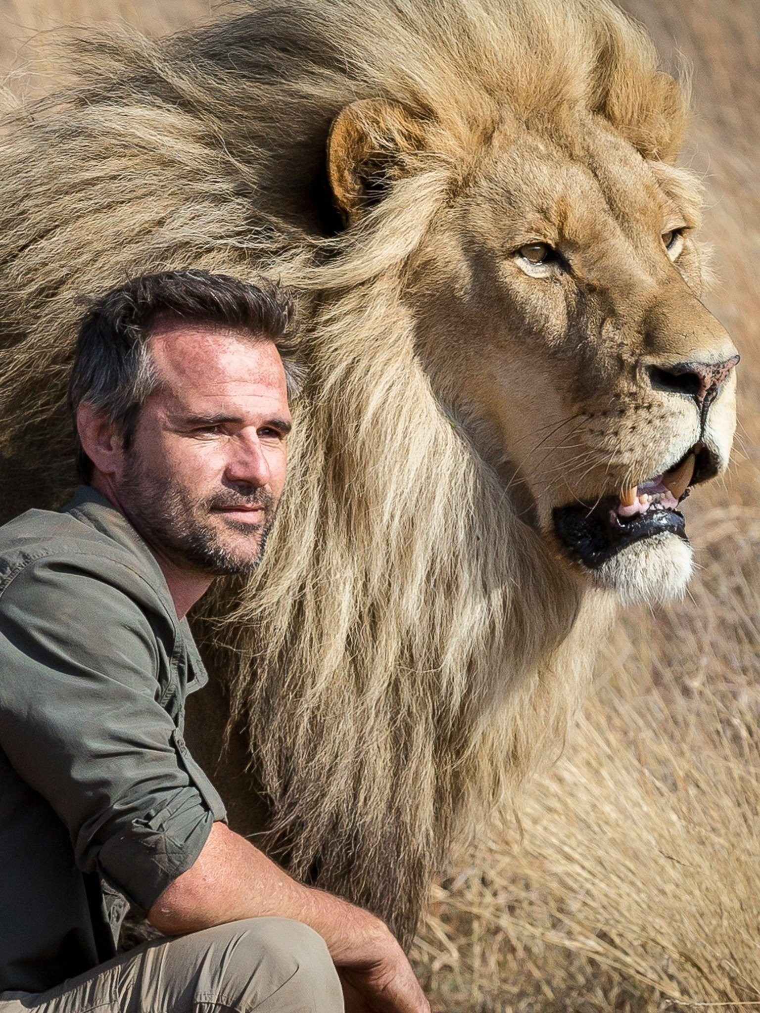 Kevin Richardson Family Lion