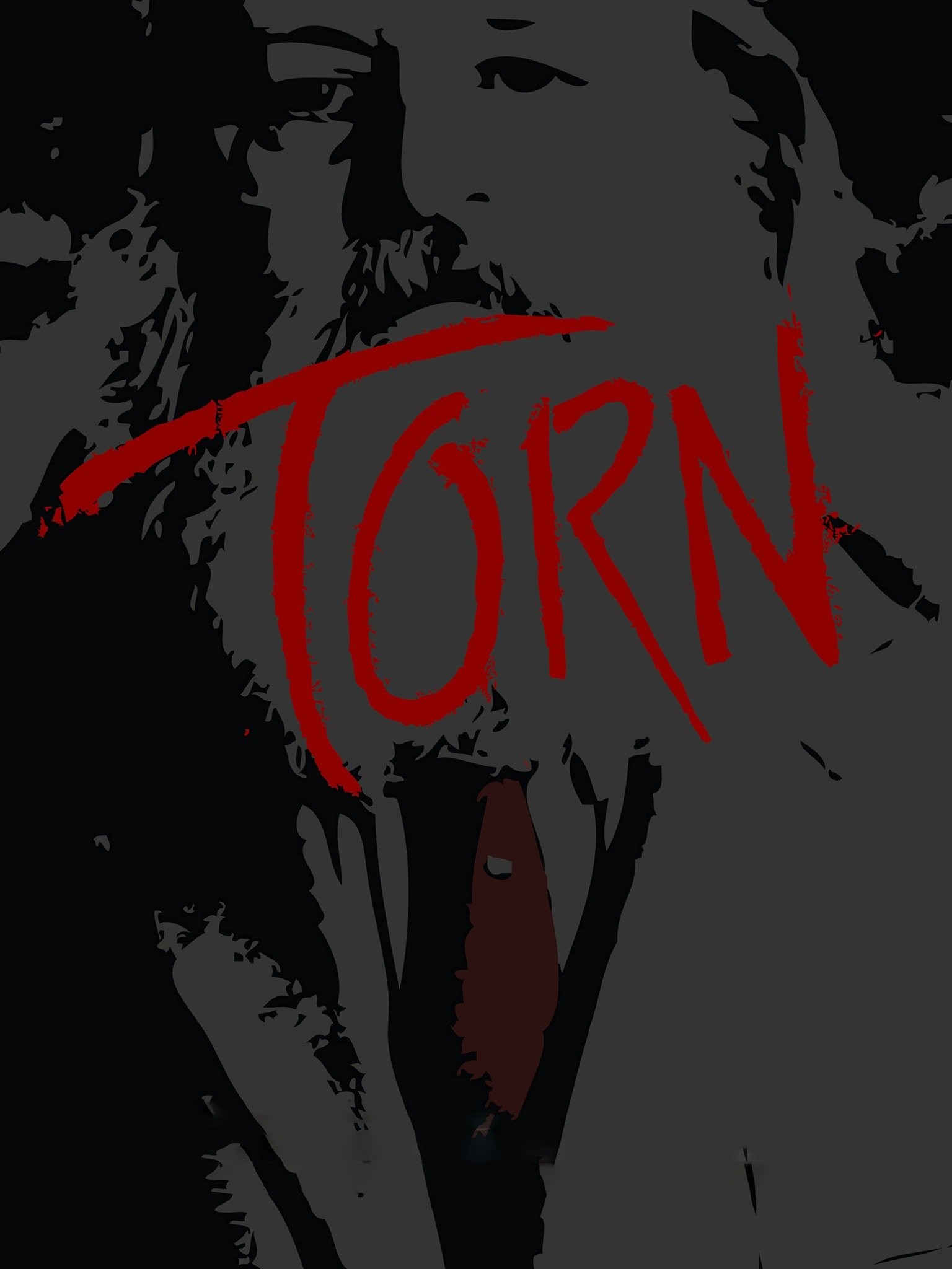 Torn Pictures | Rotten Tomatoes