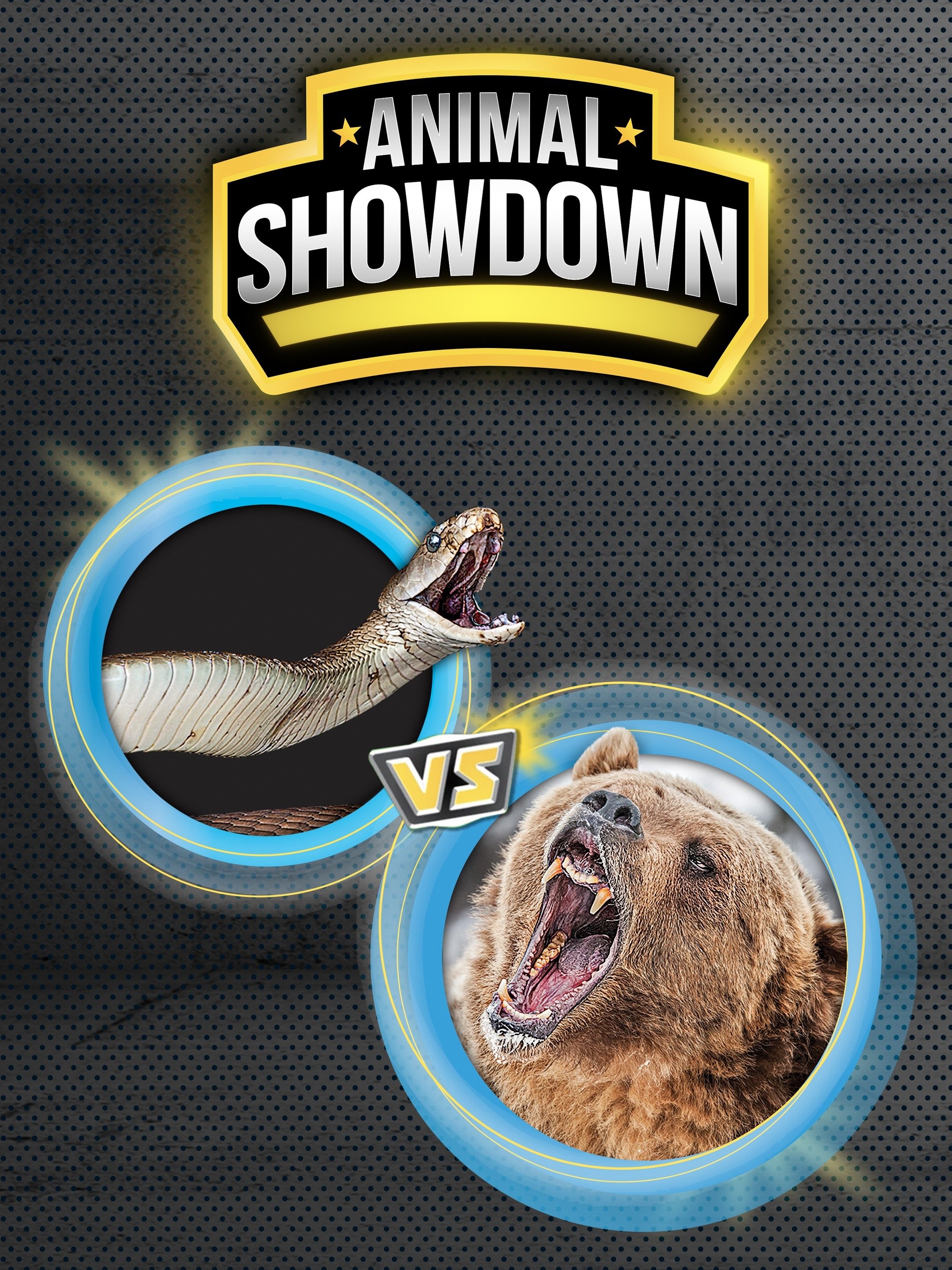 Animal Showdown: Season 1 Pictures | Rotten Tomatoes