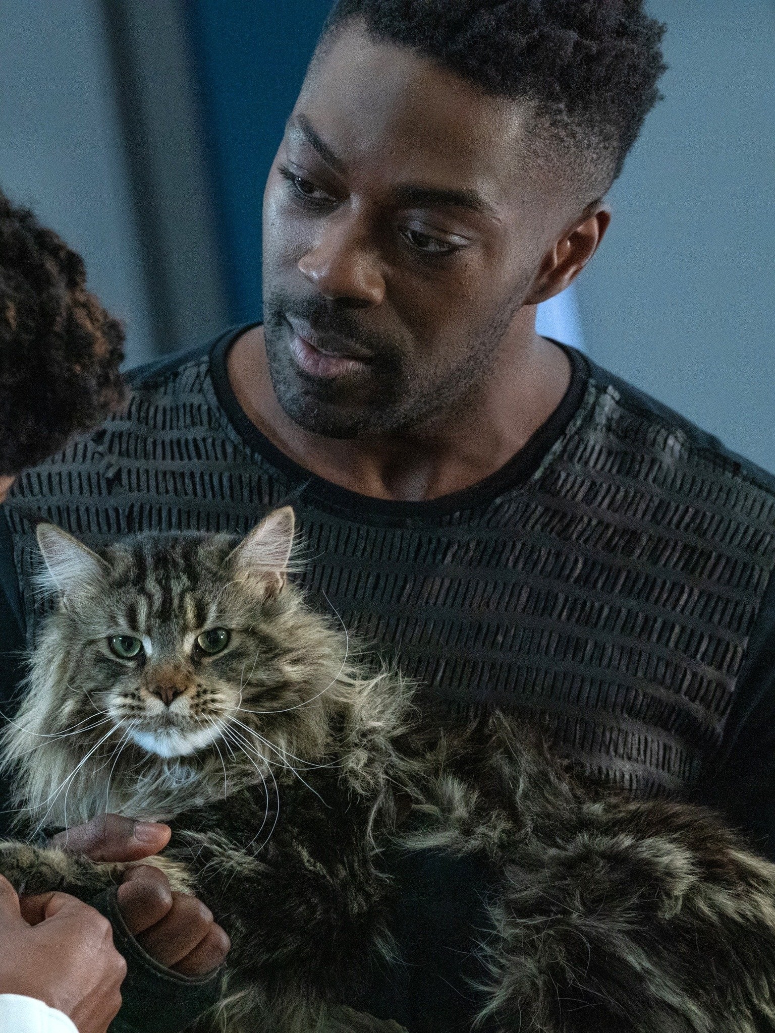 Su'Kal Pictures | Rotten Tomatoes