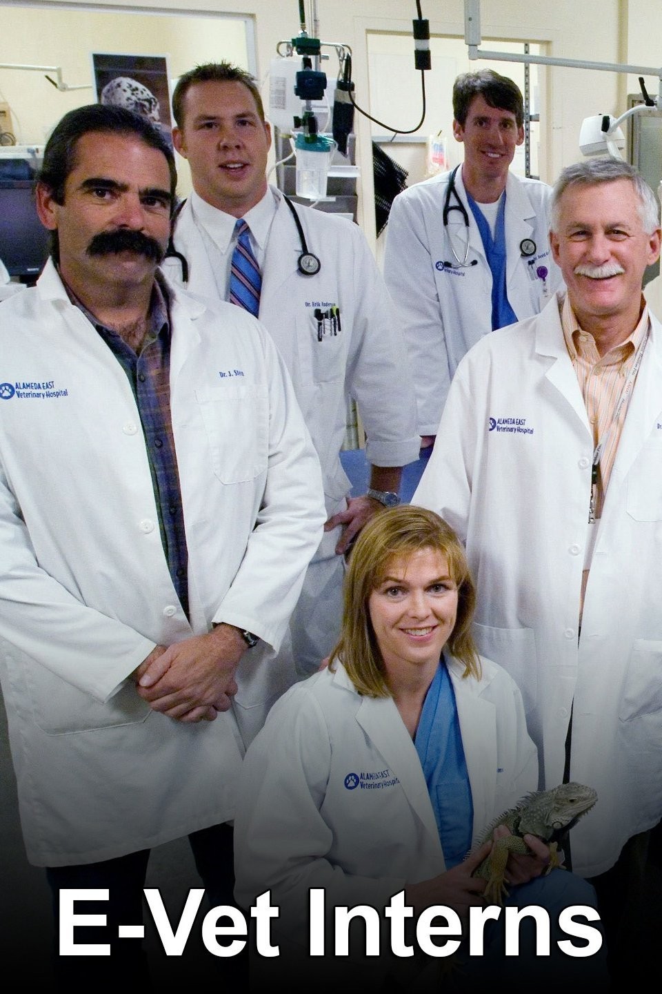 E-Vet Interns Pictures | Rotten Tomatoes