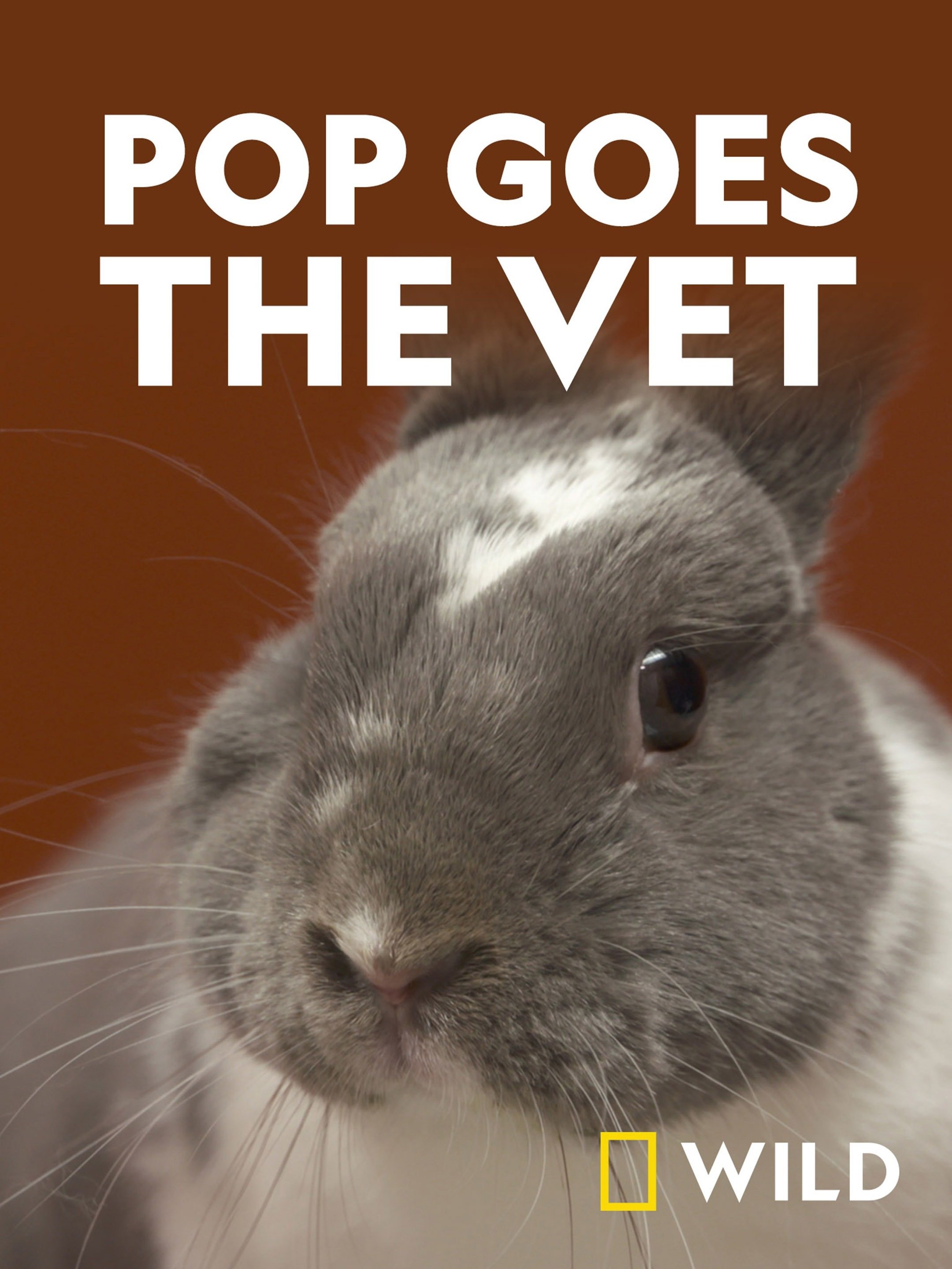 Pop Goes the Vet Pictures | Rotten Tomatoes