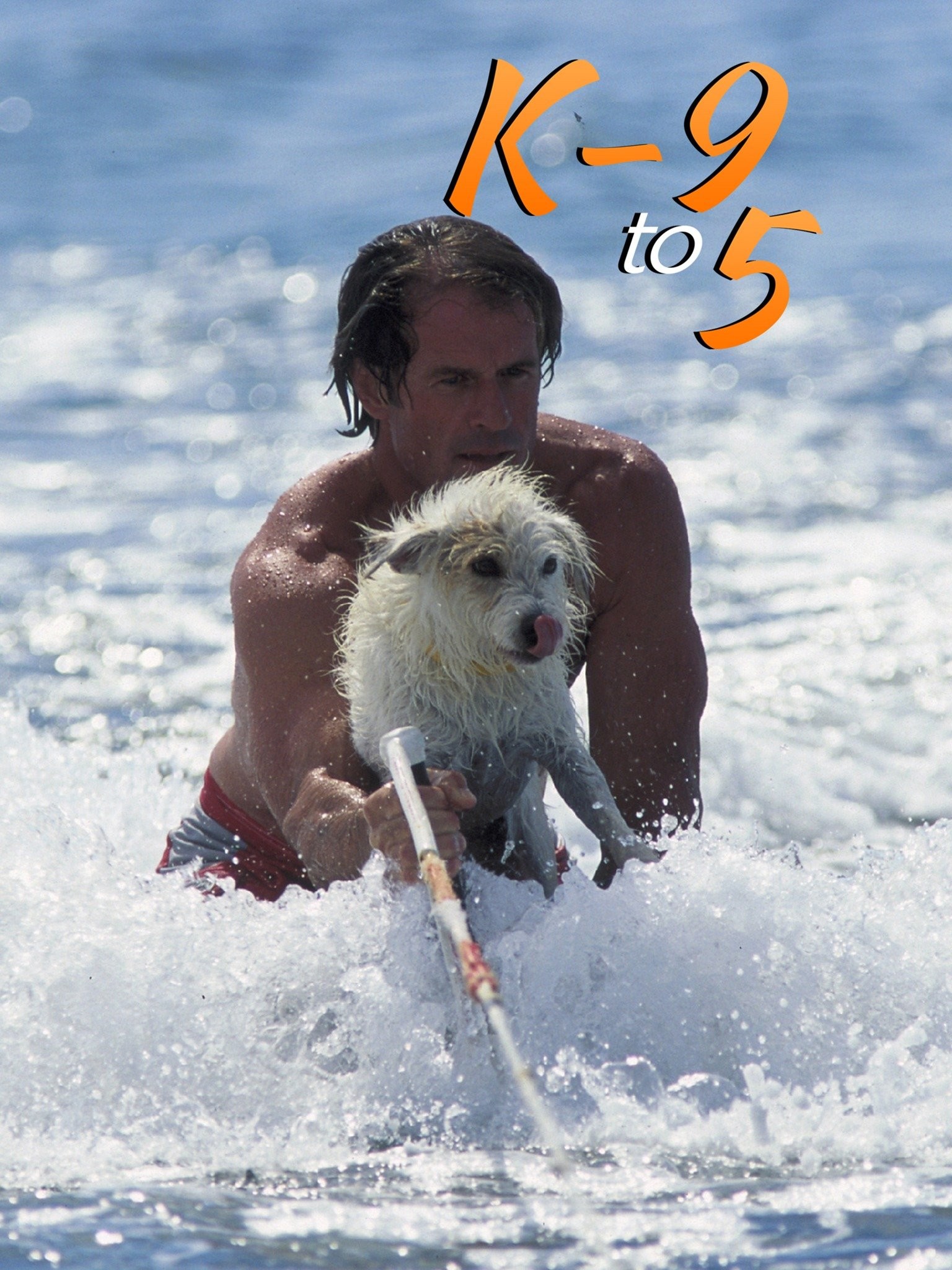 K-9 to 5 Season 1 | Rotten Tomatoes