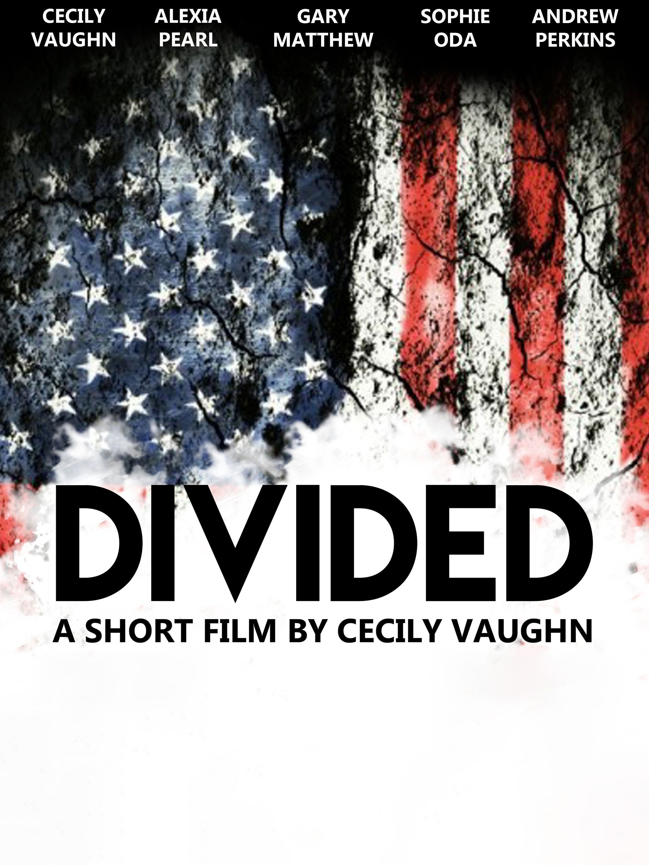 Divided Pictures | Rotten Tomatoes