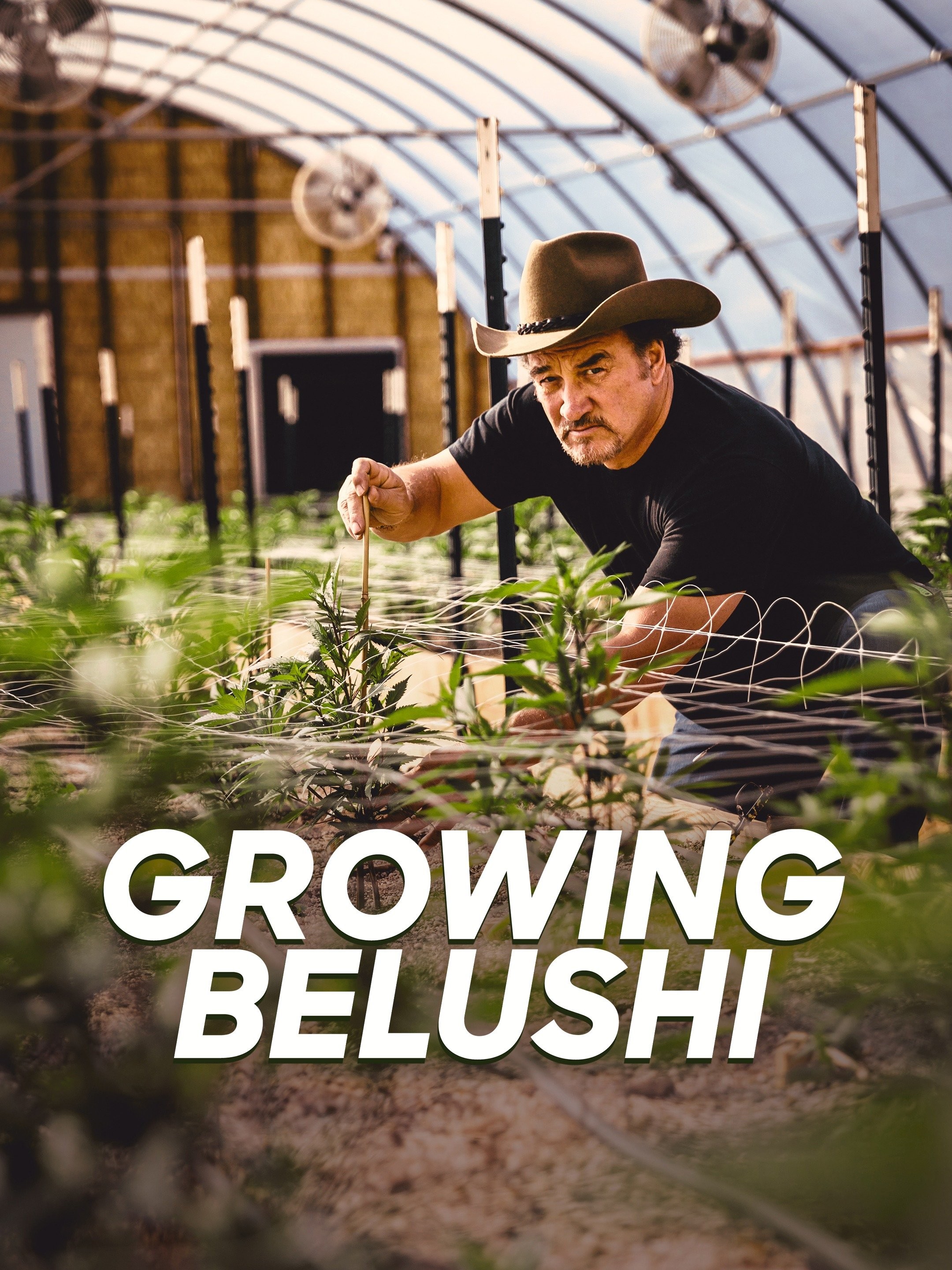 Growing Belushi: Season 1 Pictures | Rotten Tomatoes