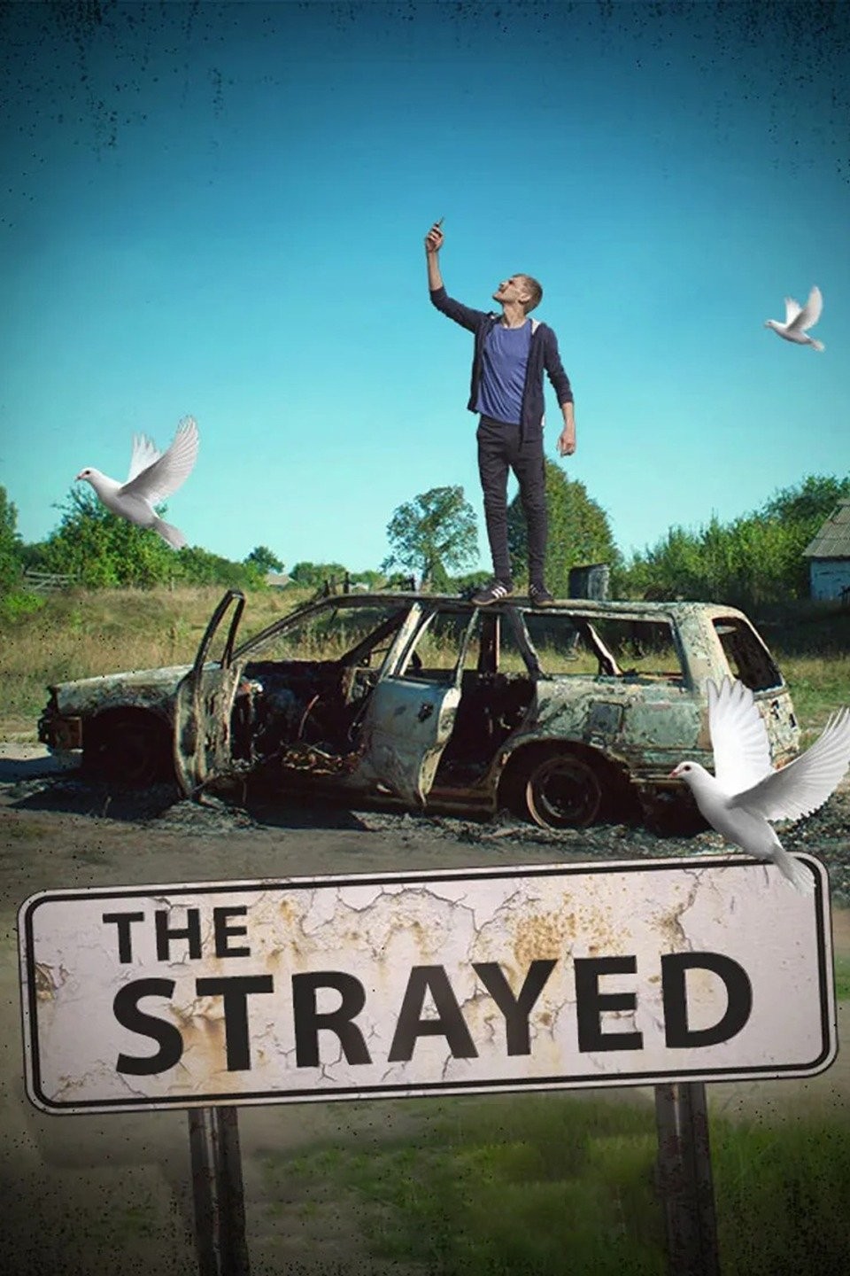 The Strayed Pictures | Rotten Tomatoes