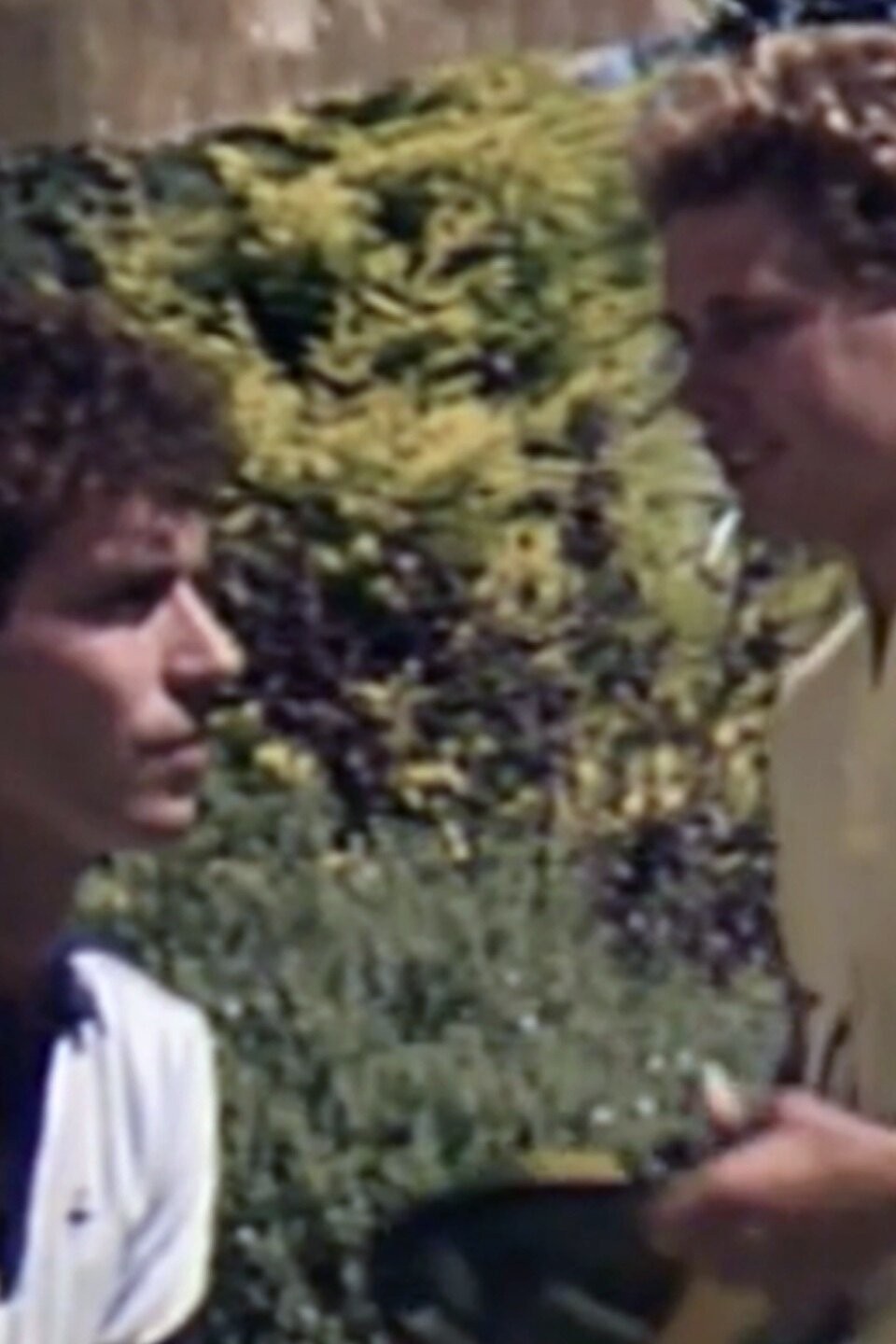 Common Cause Pictures | Rotten Tomatoes