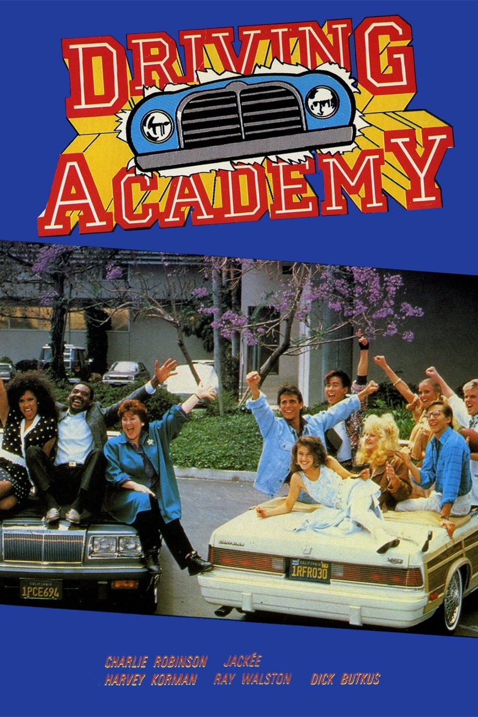 Driving Academy Pictures | Rotten Tomatoes