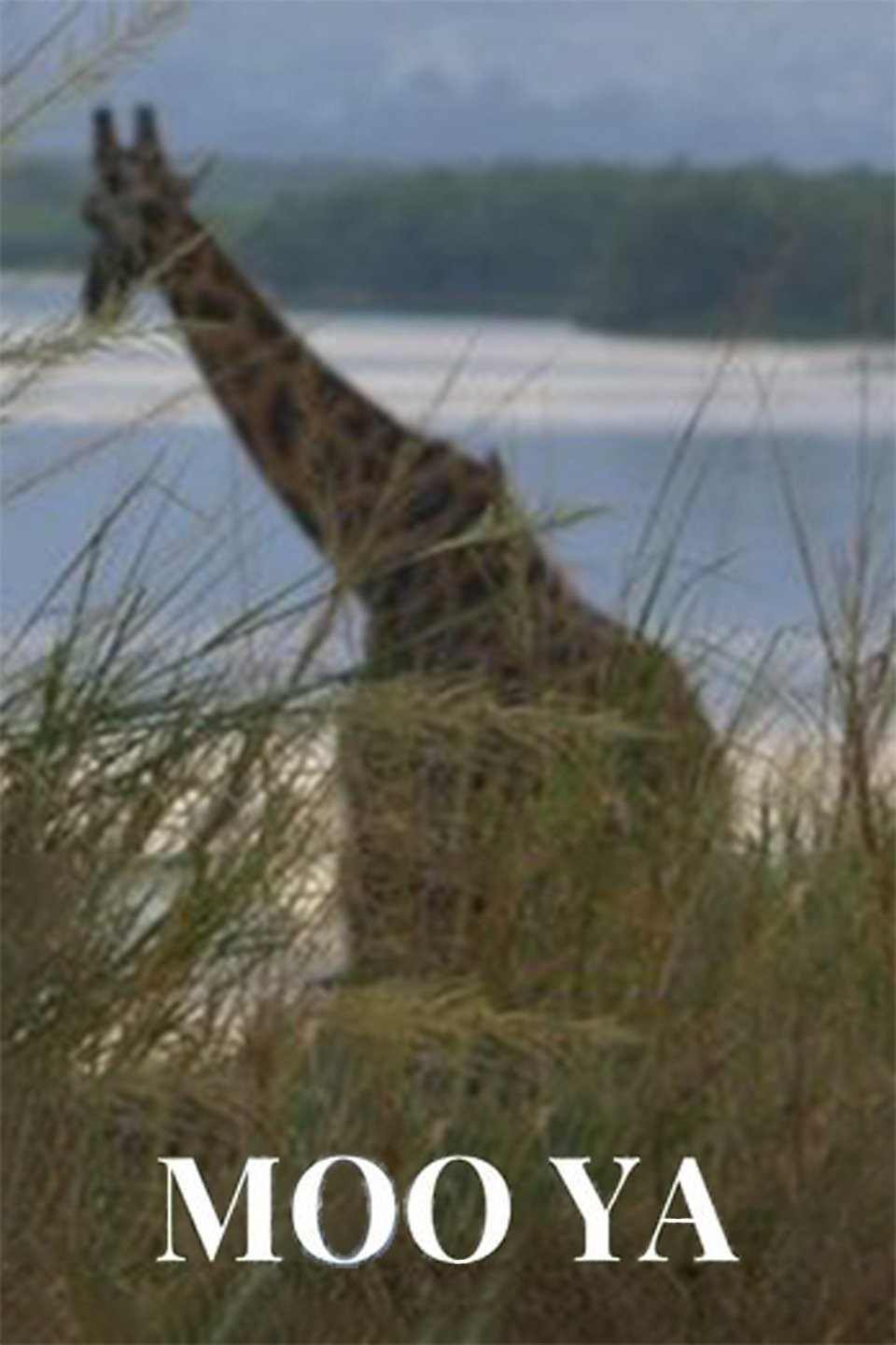 Moo ya | Rotten Tomatoes