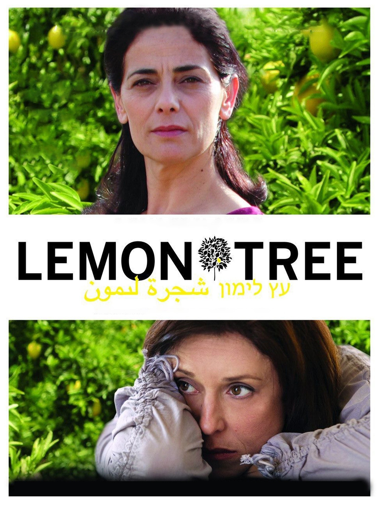 Lemon Tree Pictures | Rotten Tomatoes
