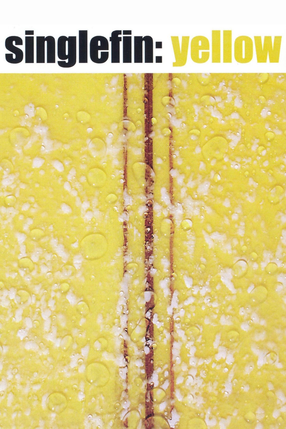 Single Fin Yellow Pictures | Rotten Tomatoes